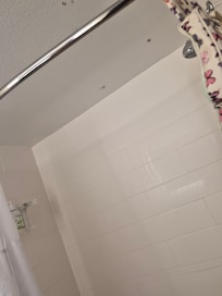 Mold in shower