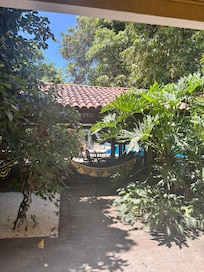 Hammocks in the pool area with Mango trees.