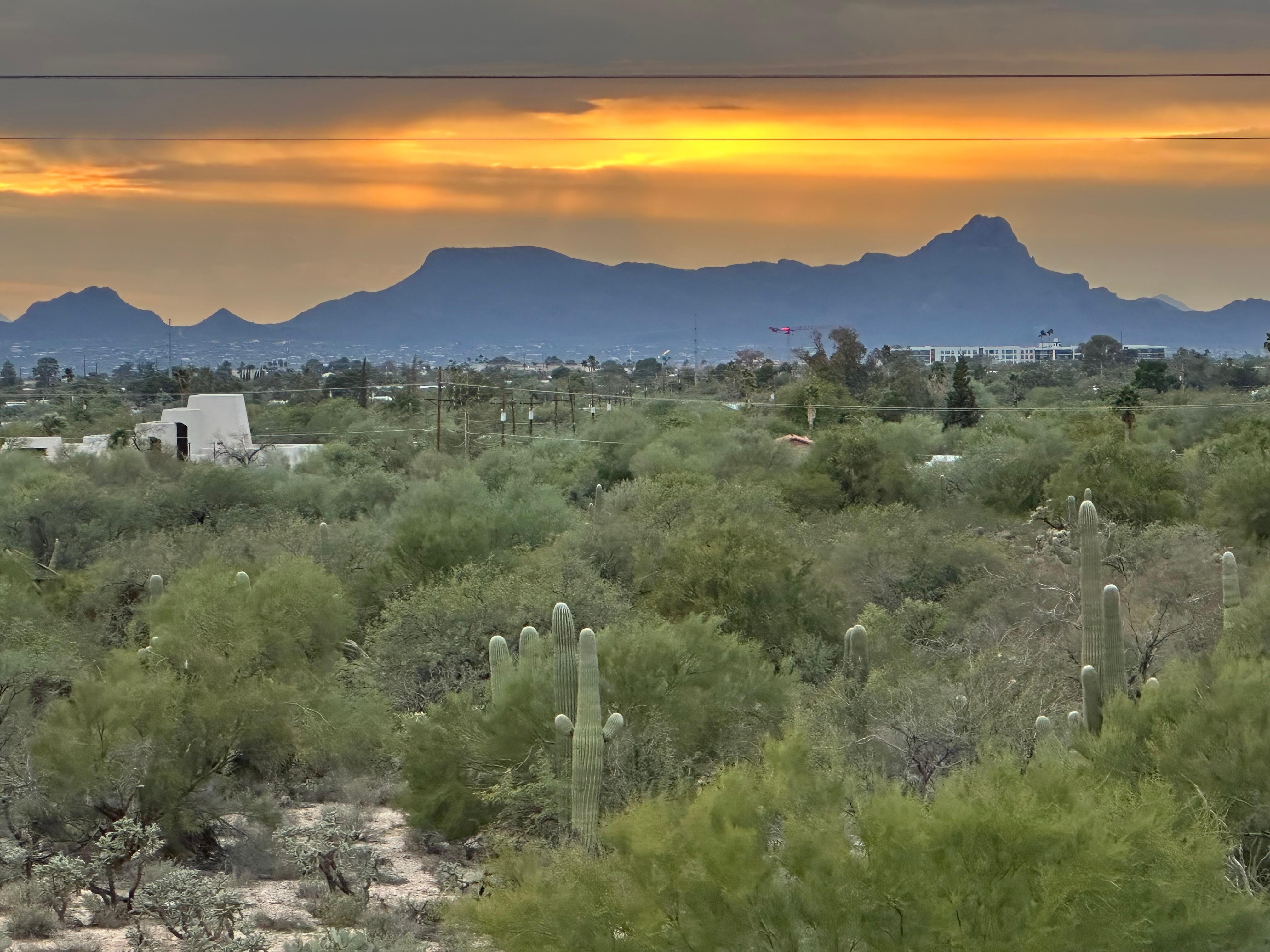 View from back of hotel at sunset