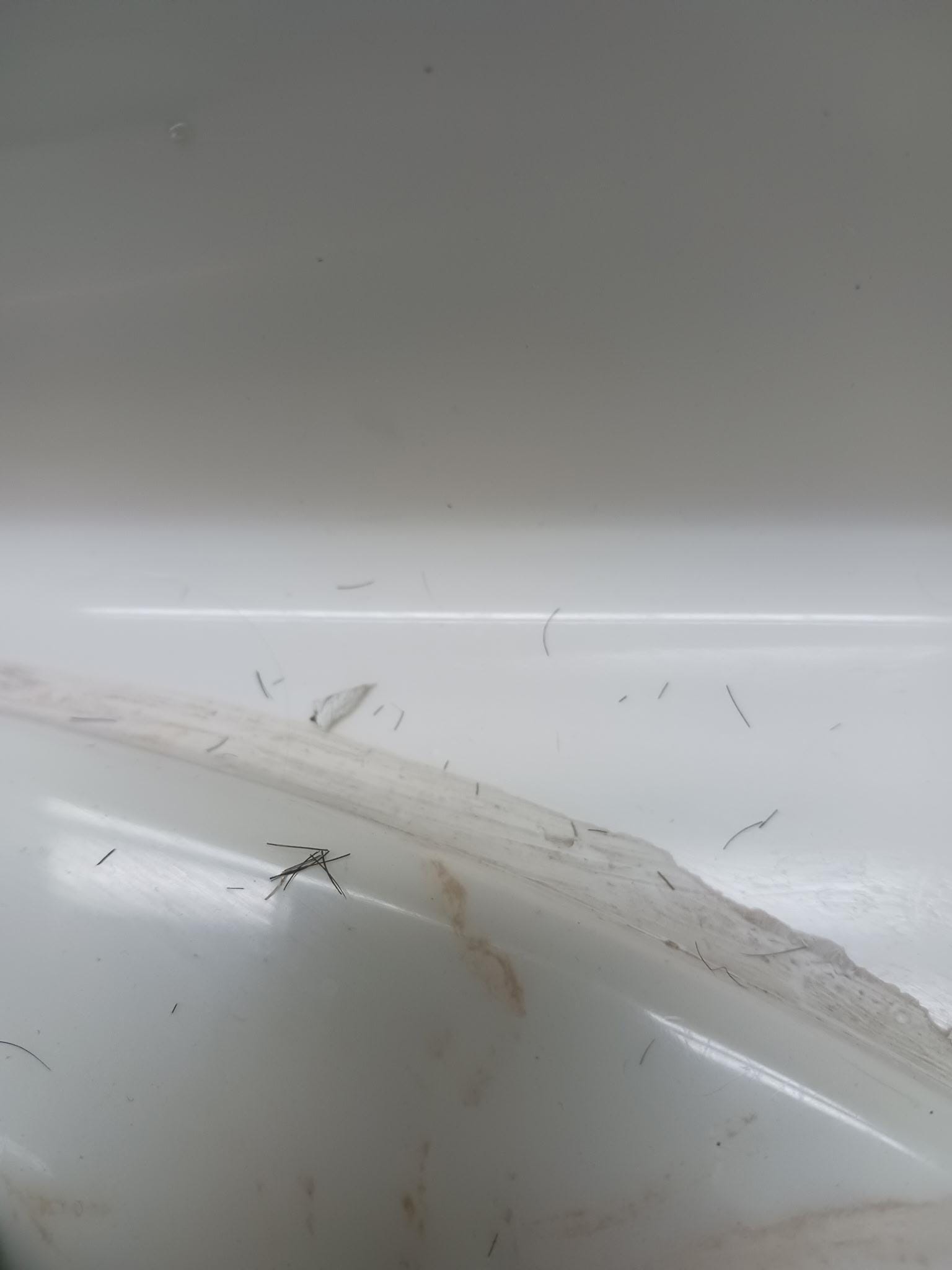 Hair all inside of tub