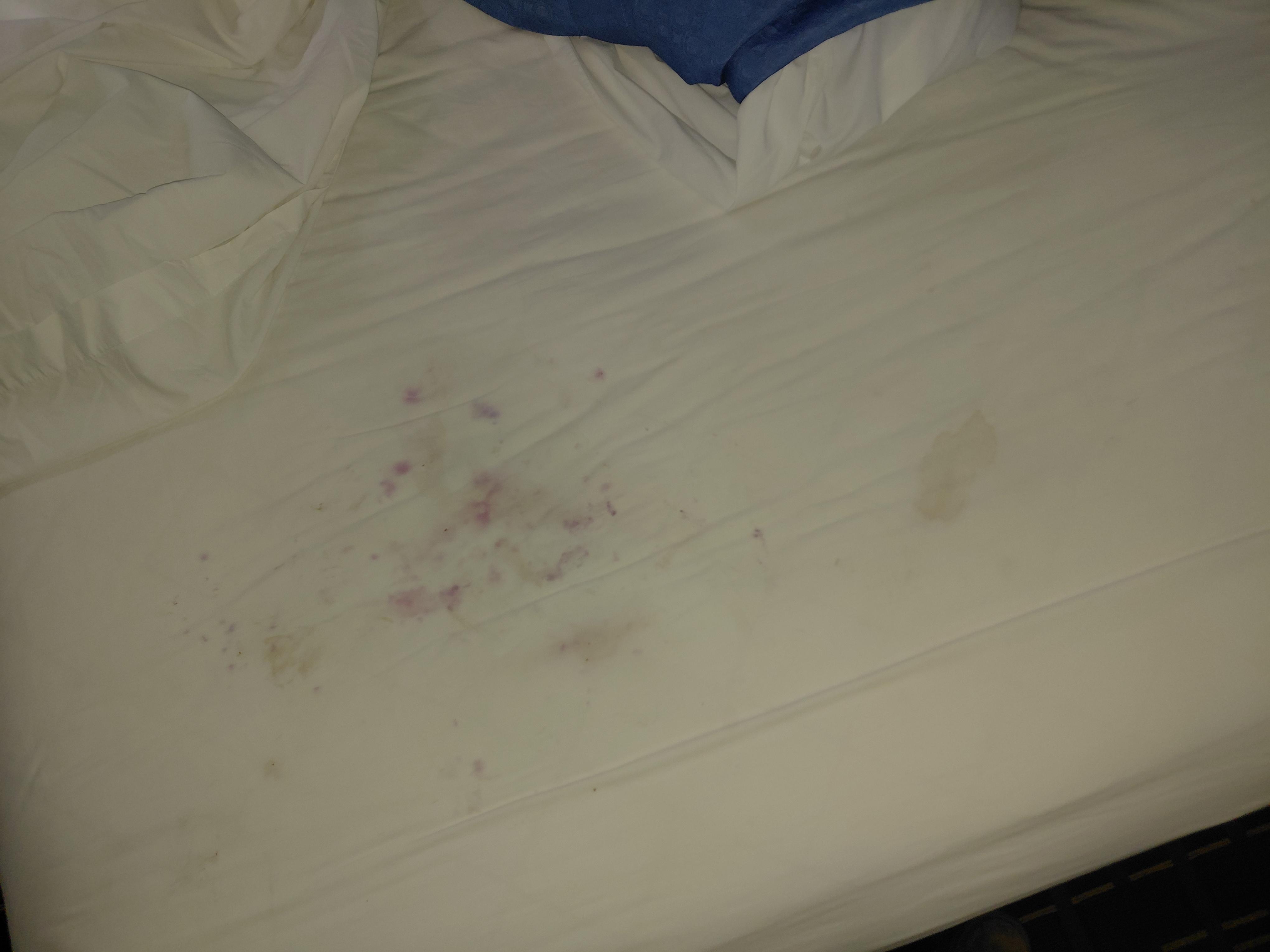 3 yr old puked at 230 am when everyone was asleep, staff not child friendly 