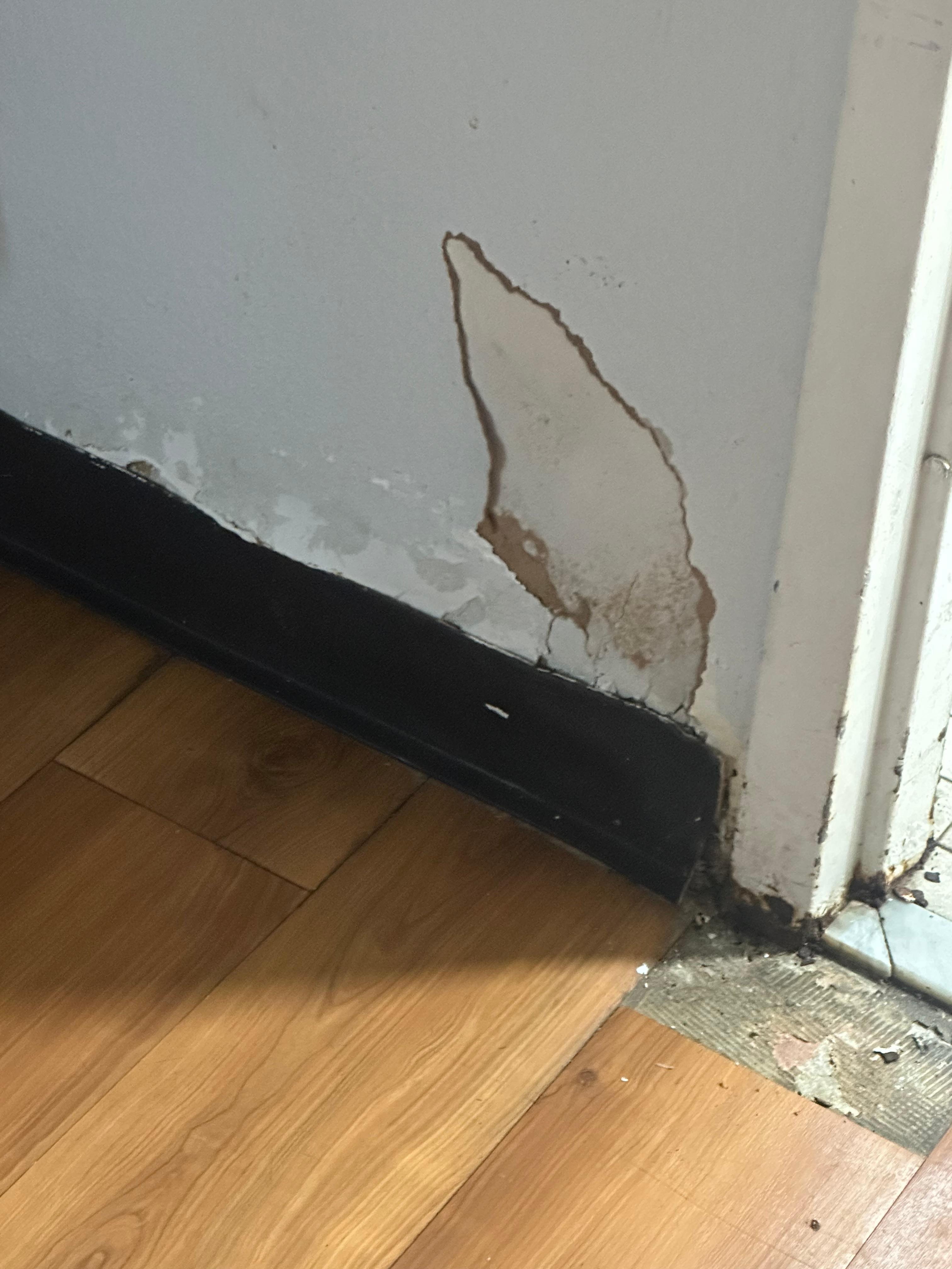 Cracks in the wall and missing tiles where creatures hide. 