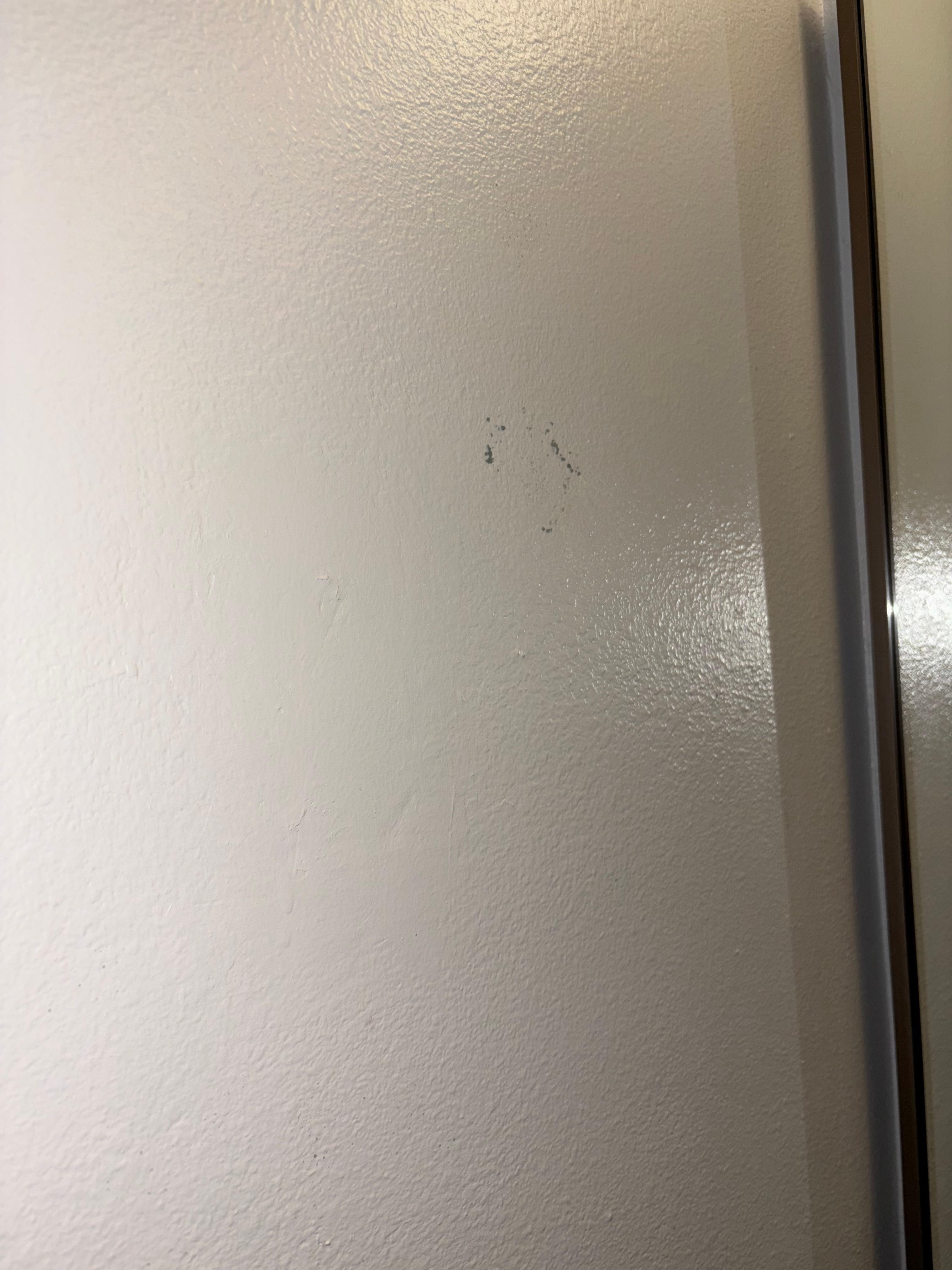 Mold on wall