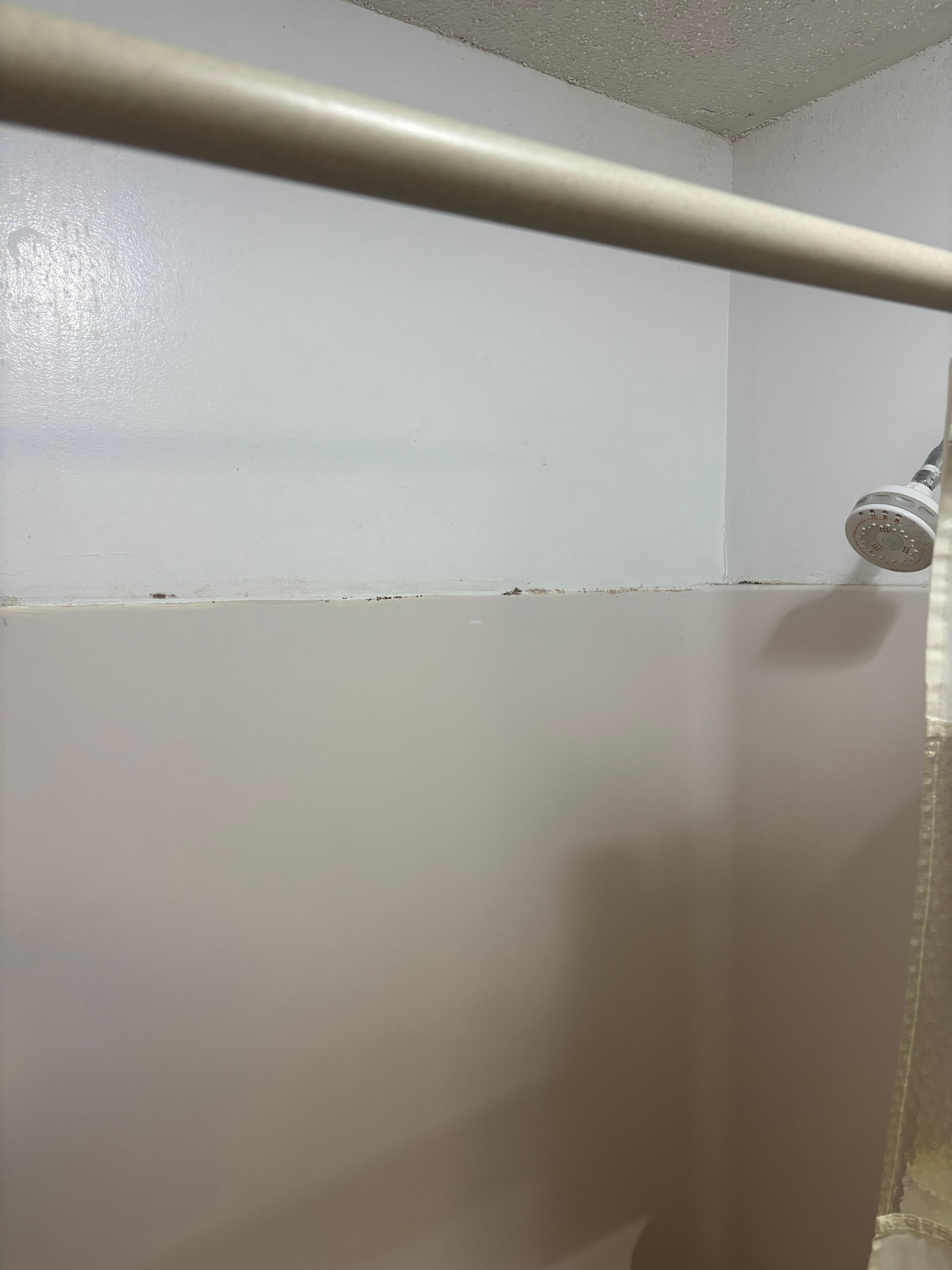Mold and dust
