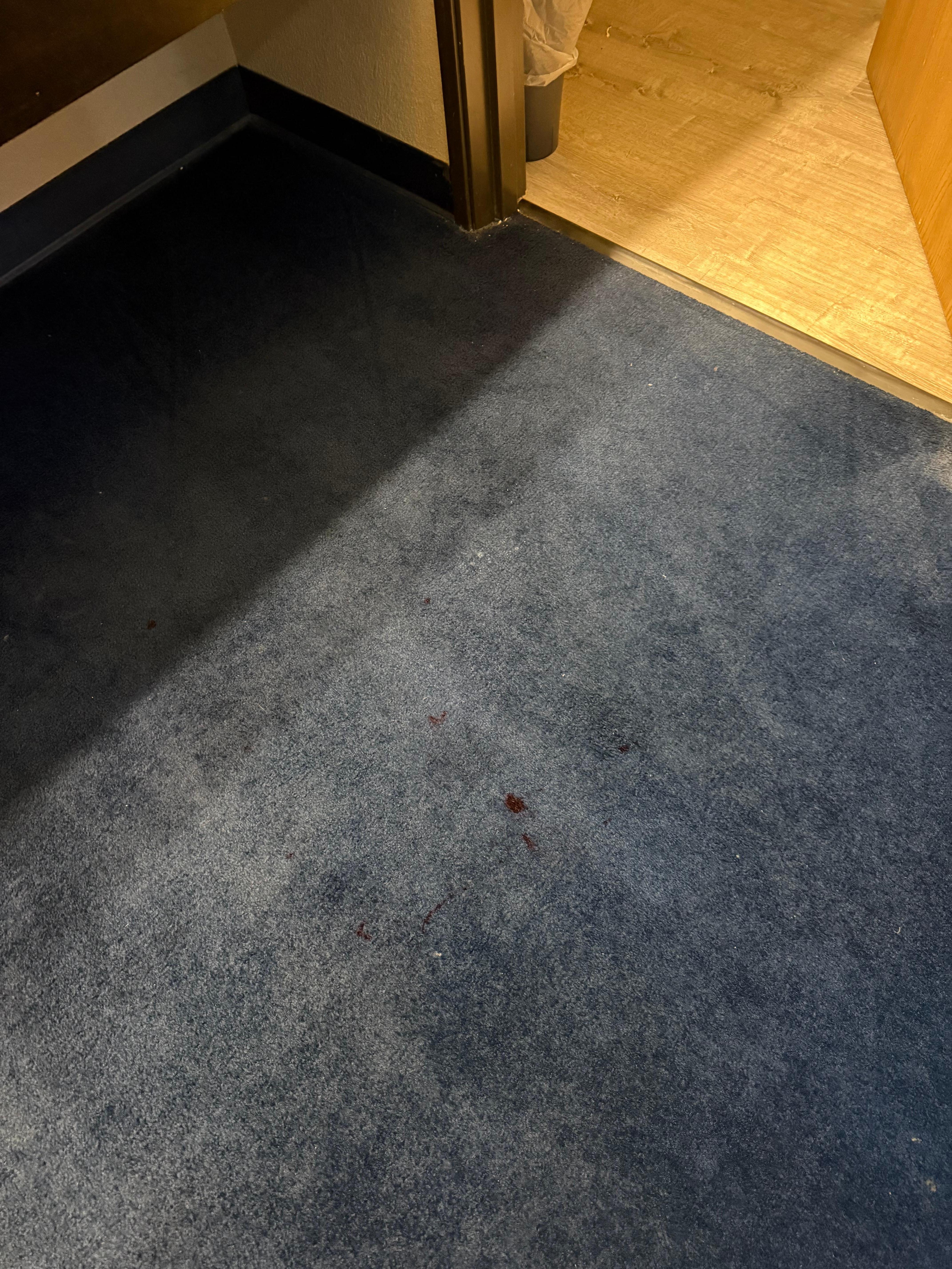 Carpet bloodstained 