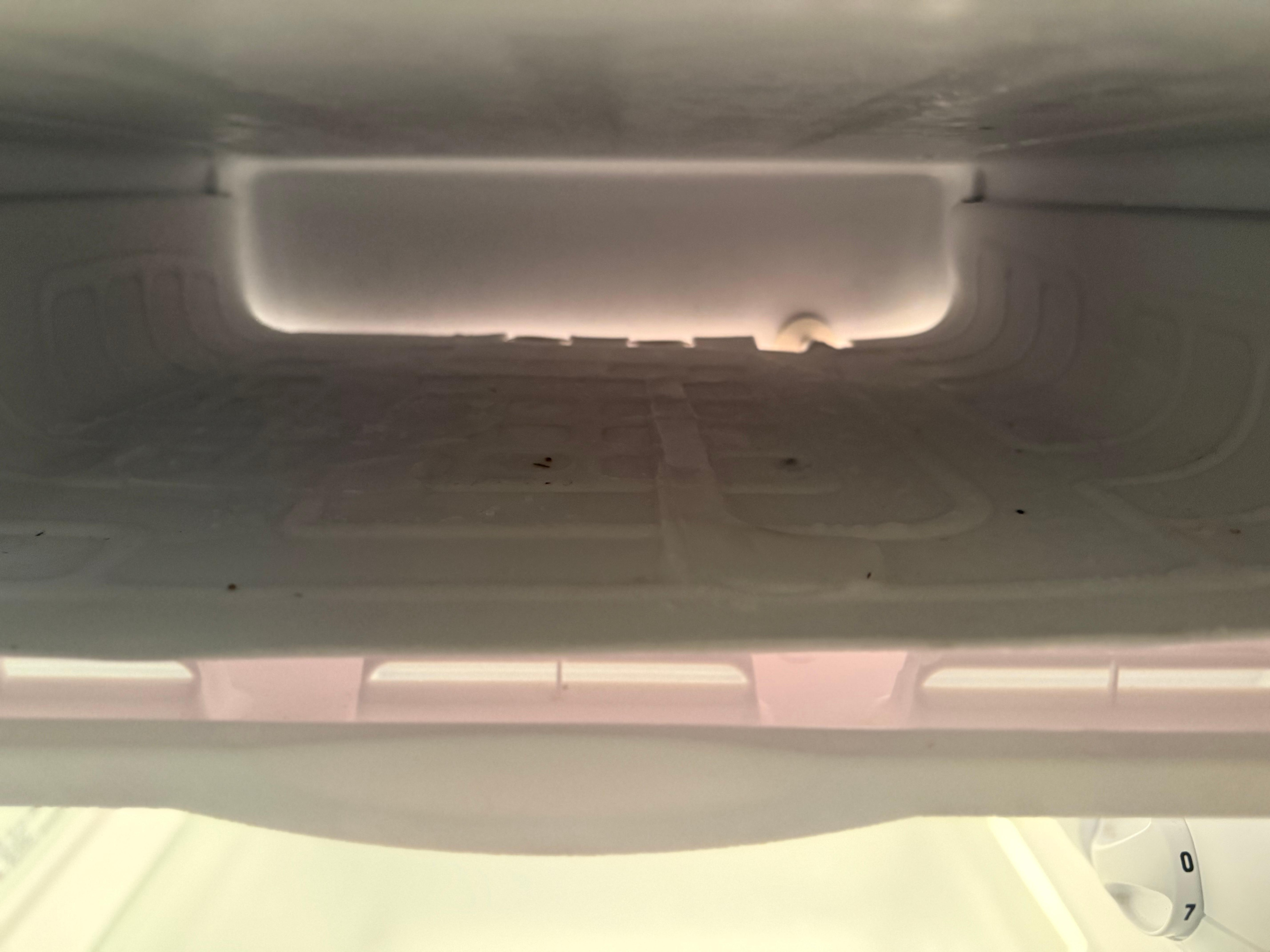 Mold in the freezer 