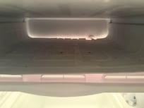 Mold in the freezer