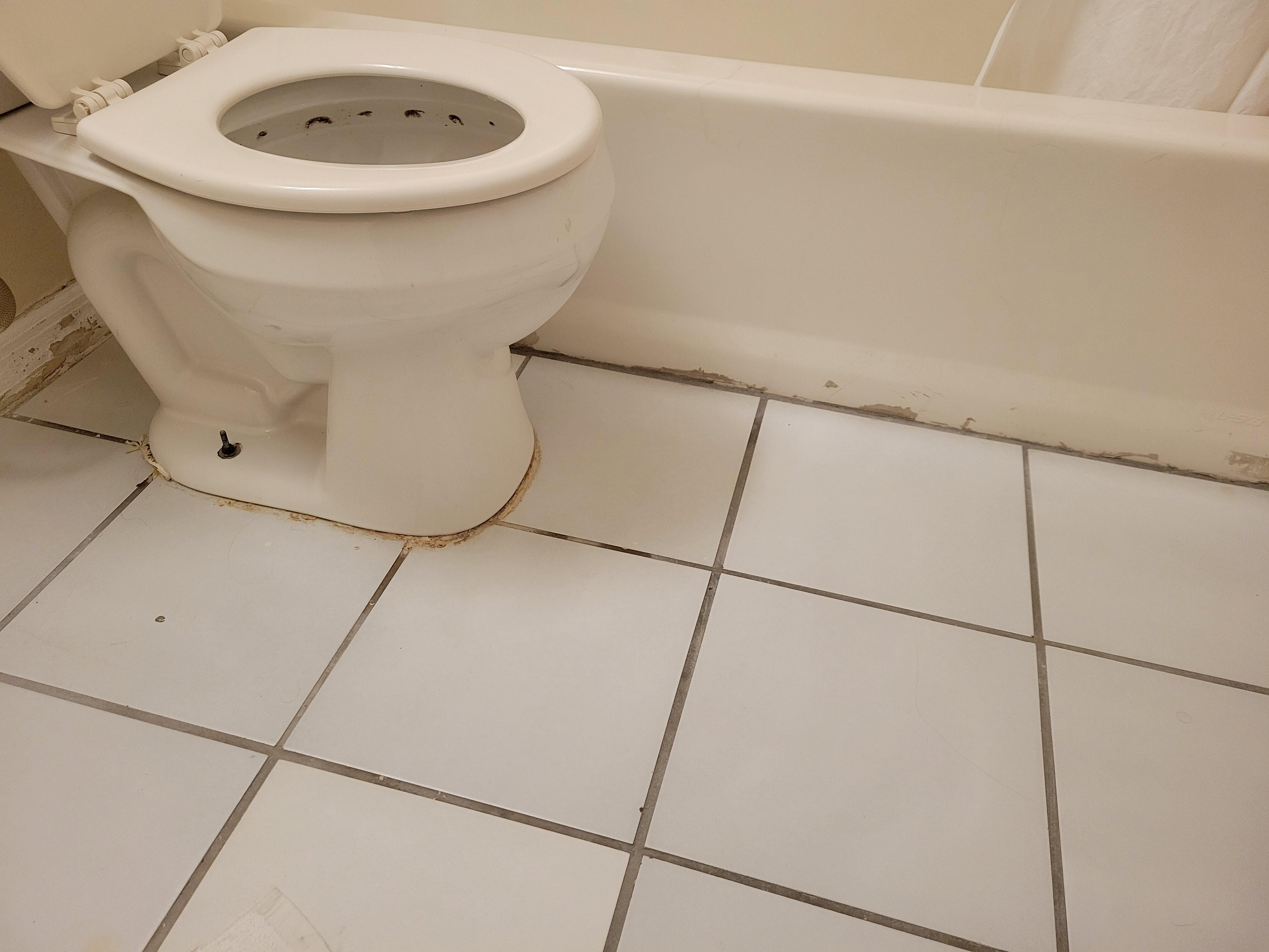 Mold in the toilet, around it and the tub
