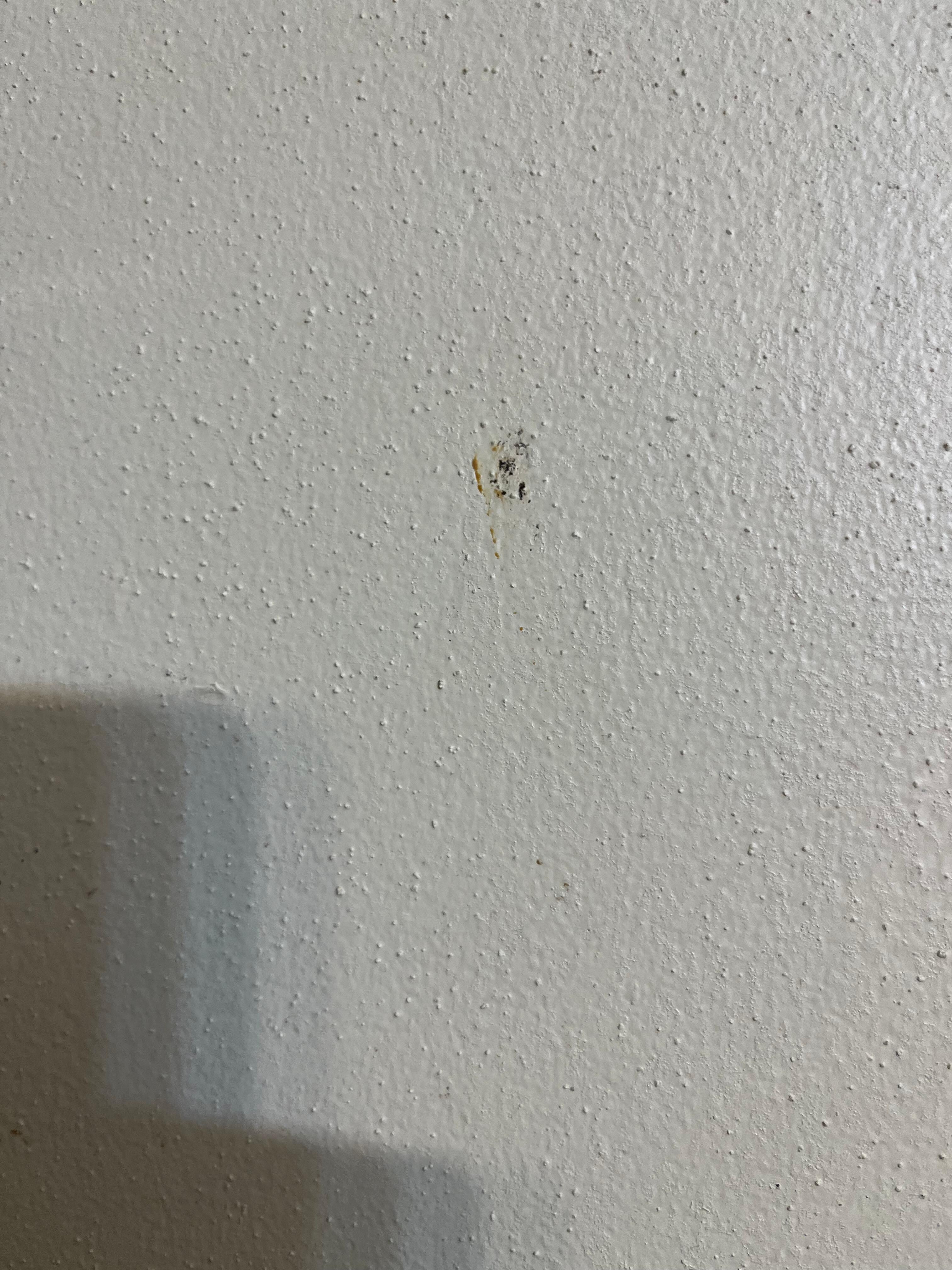 Weird substance on wall.