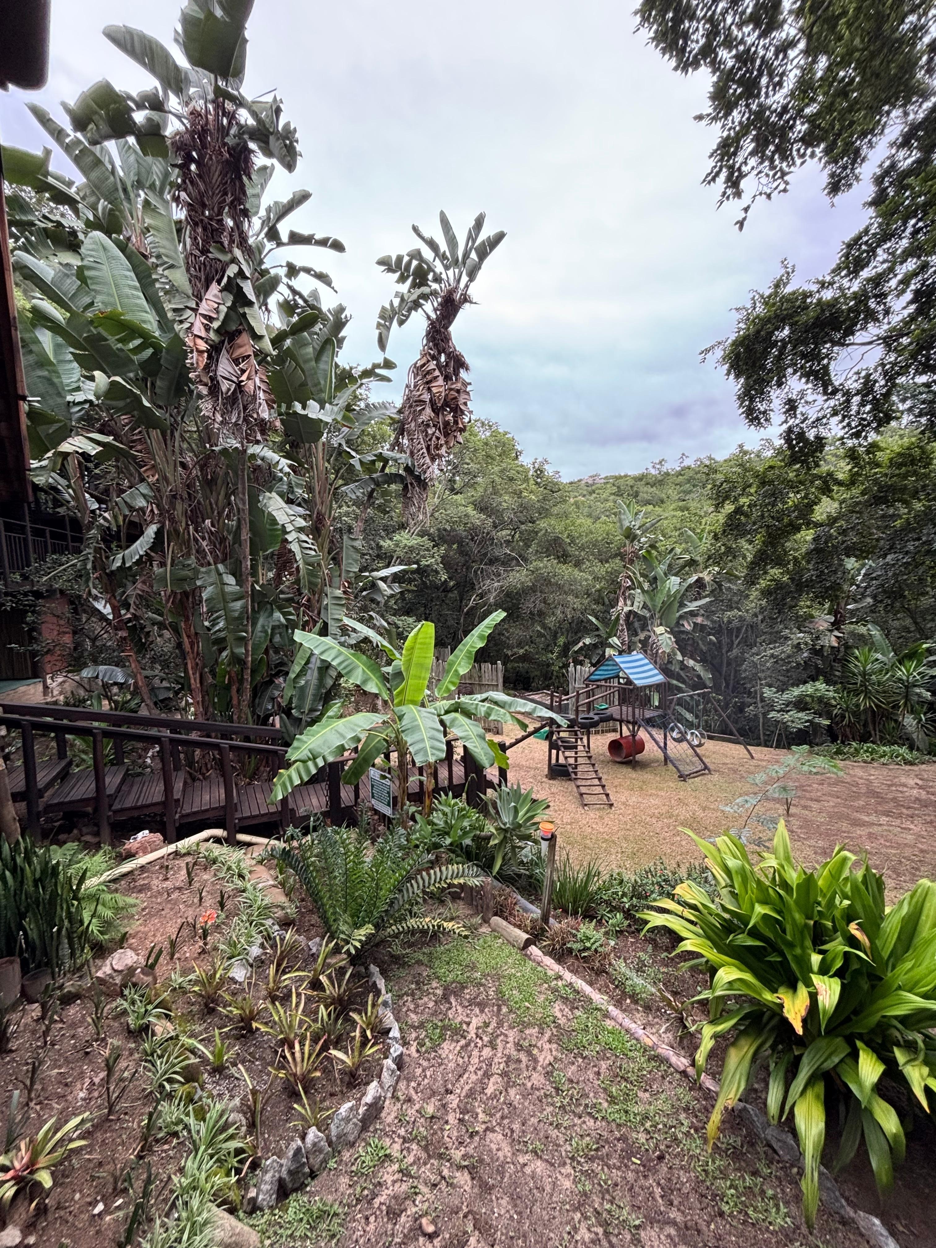 Backyard and playground 