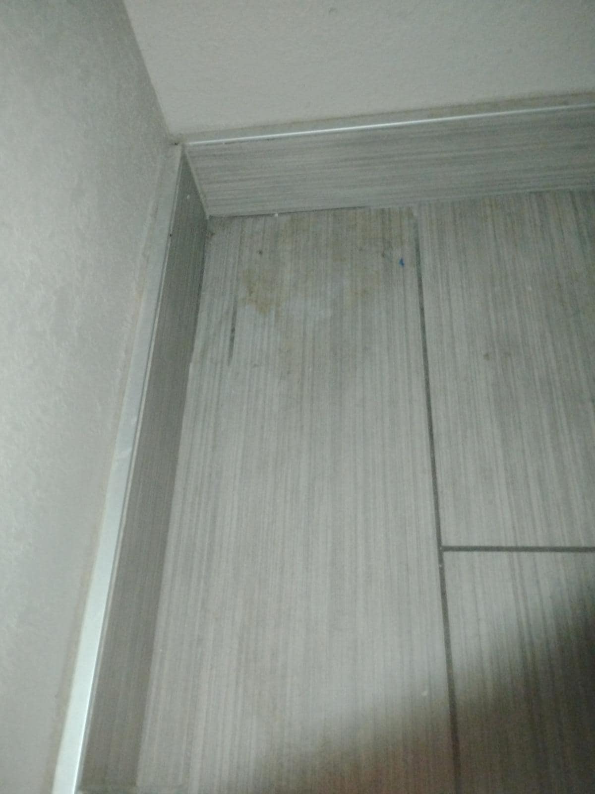 Dried pee in closet from some sort of animal 