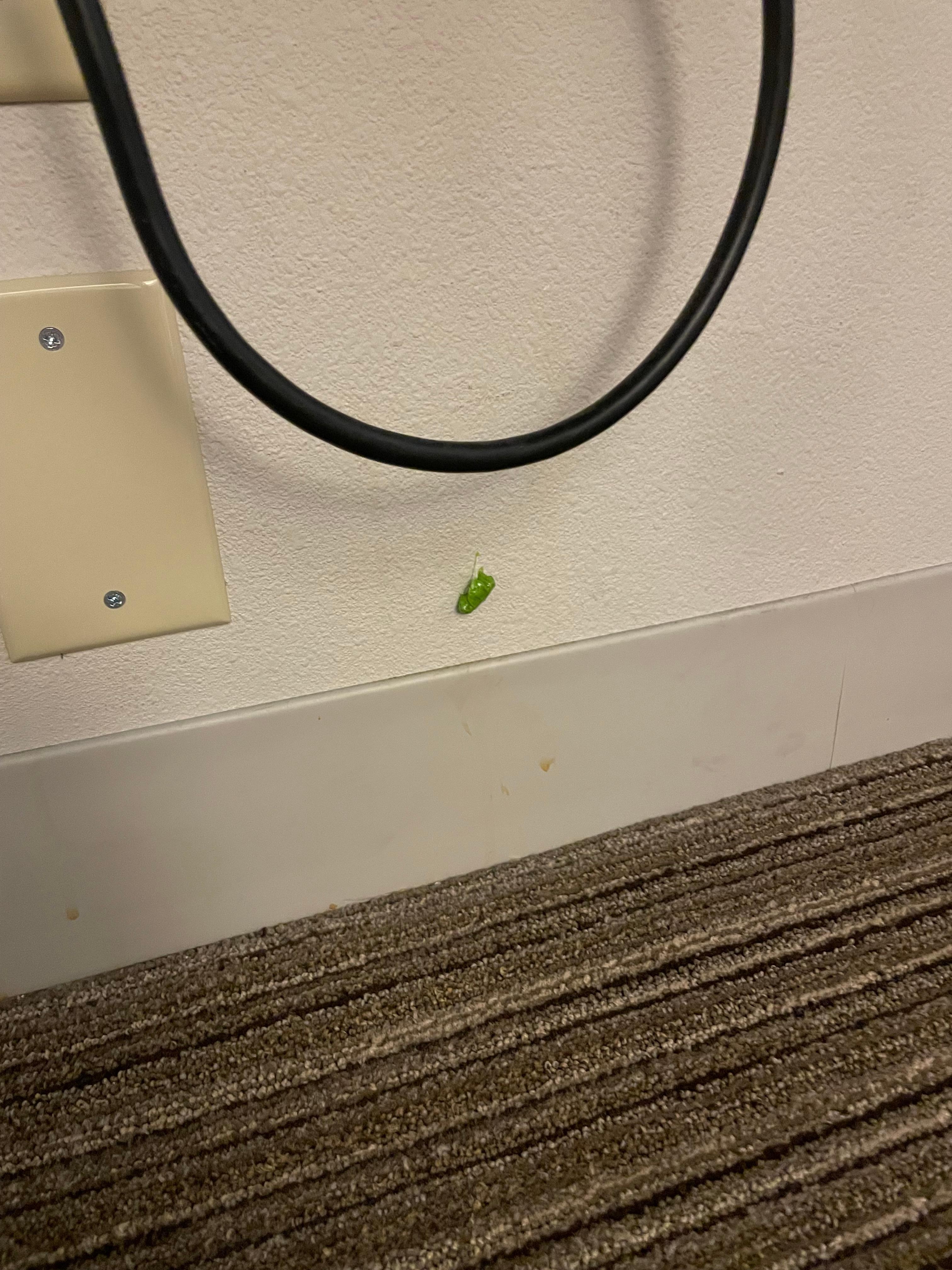 Chewing gum on the wall