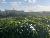 Beautiful view from balcony