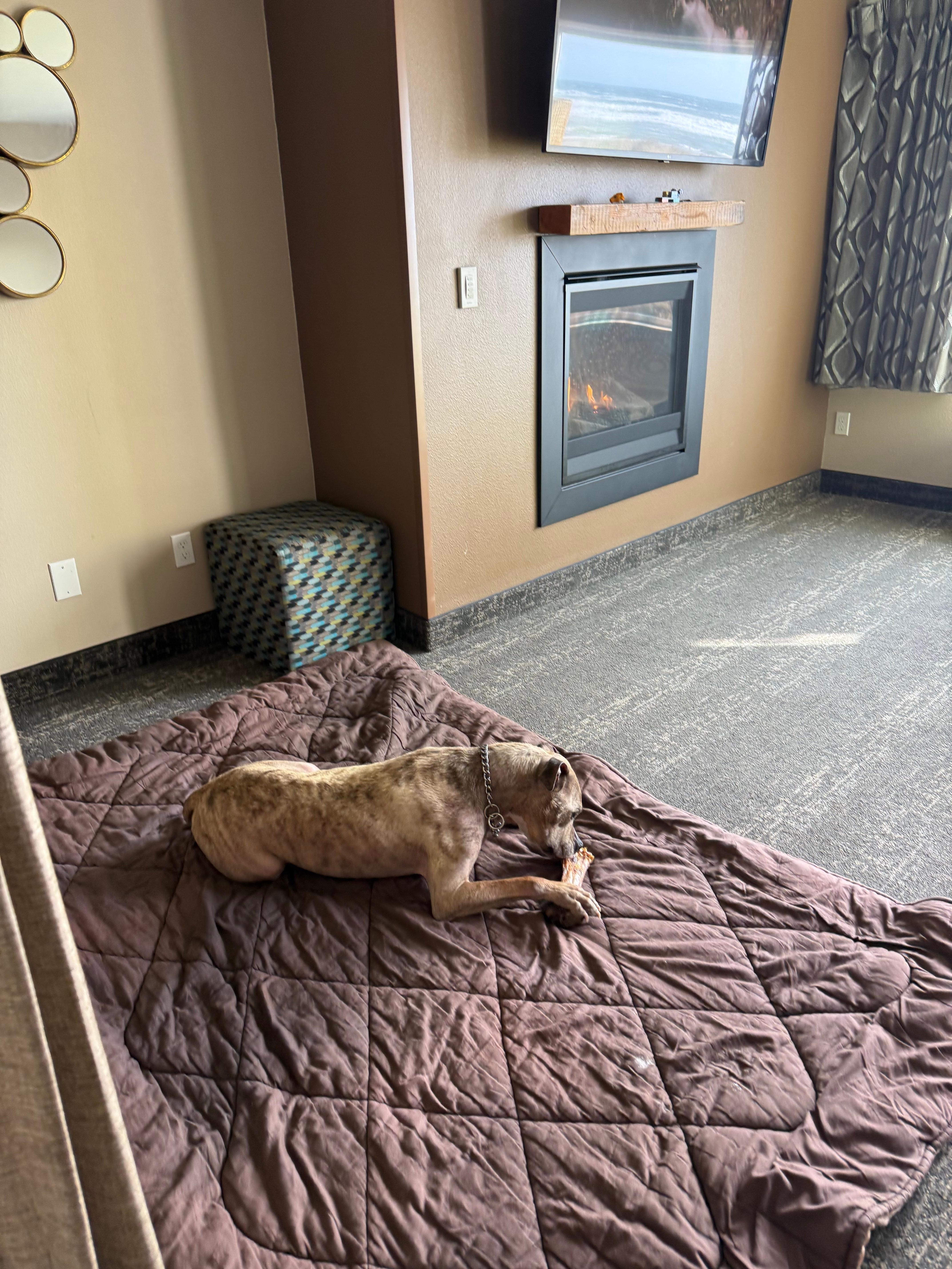 All this room and no tables to eat or sit at. Or put your stuff on. 