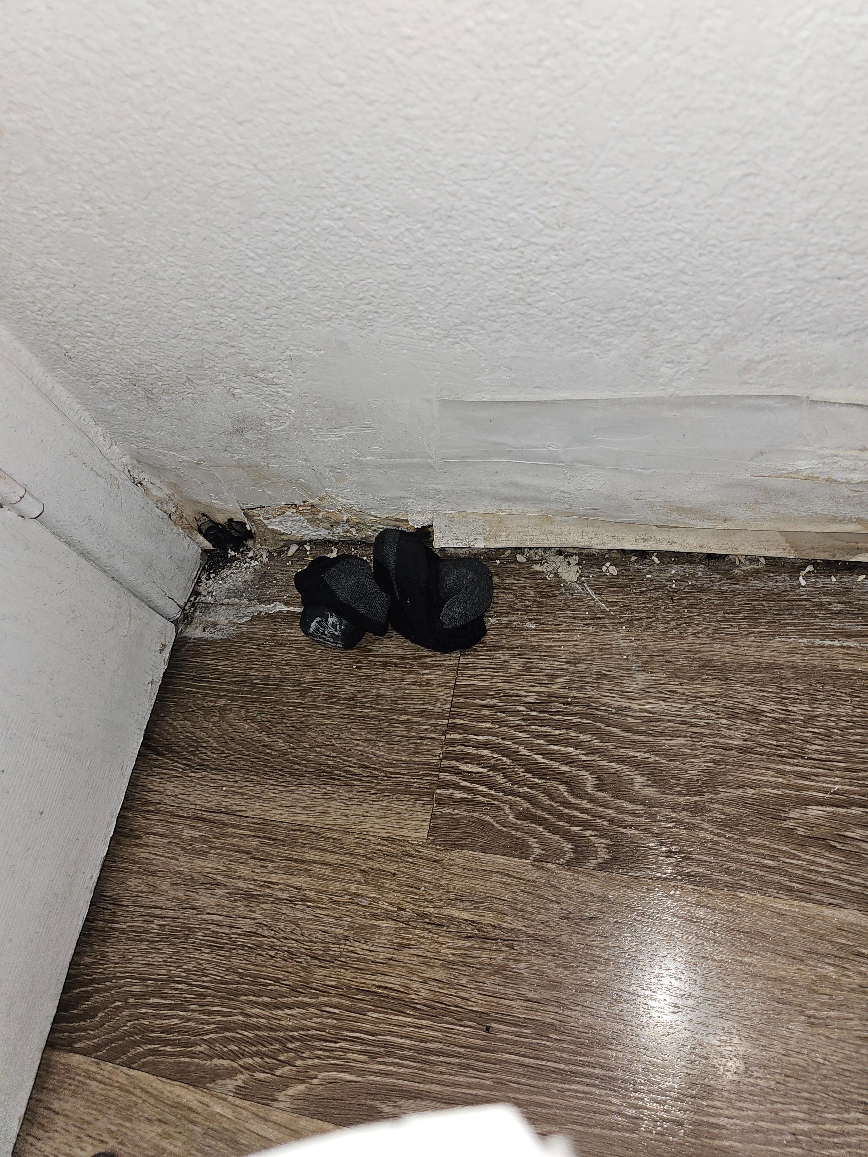 Old socks that were in the room when we arrived.