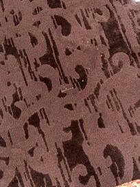 Dog food on the floor