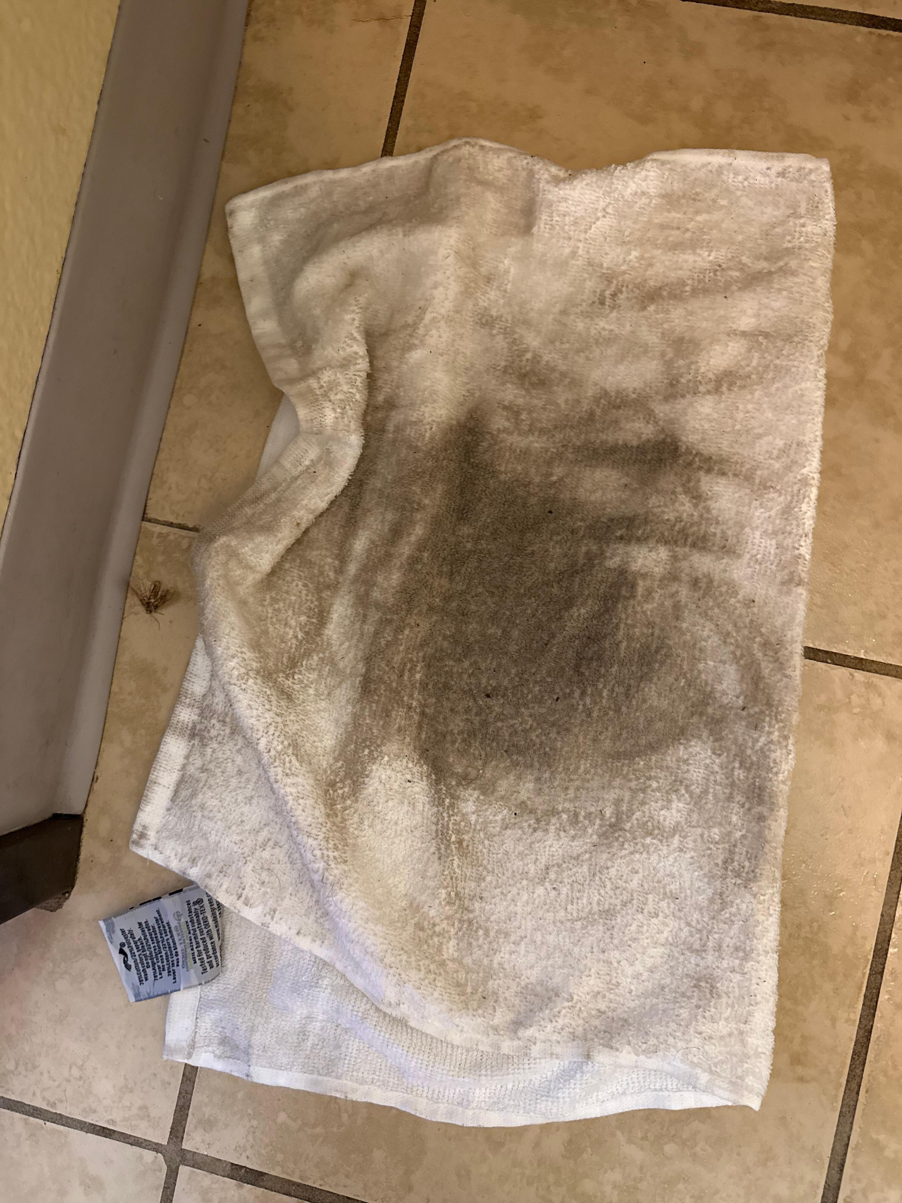 Room was very dirty. 
