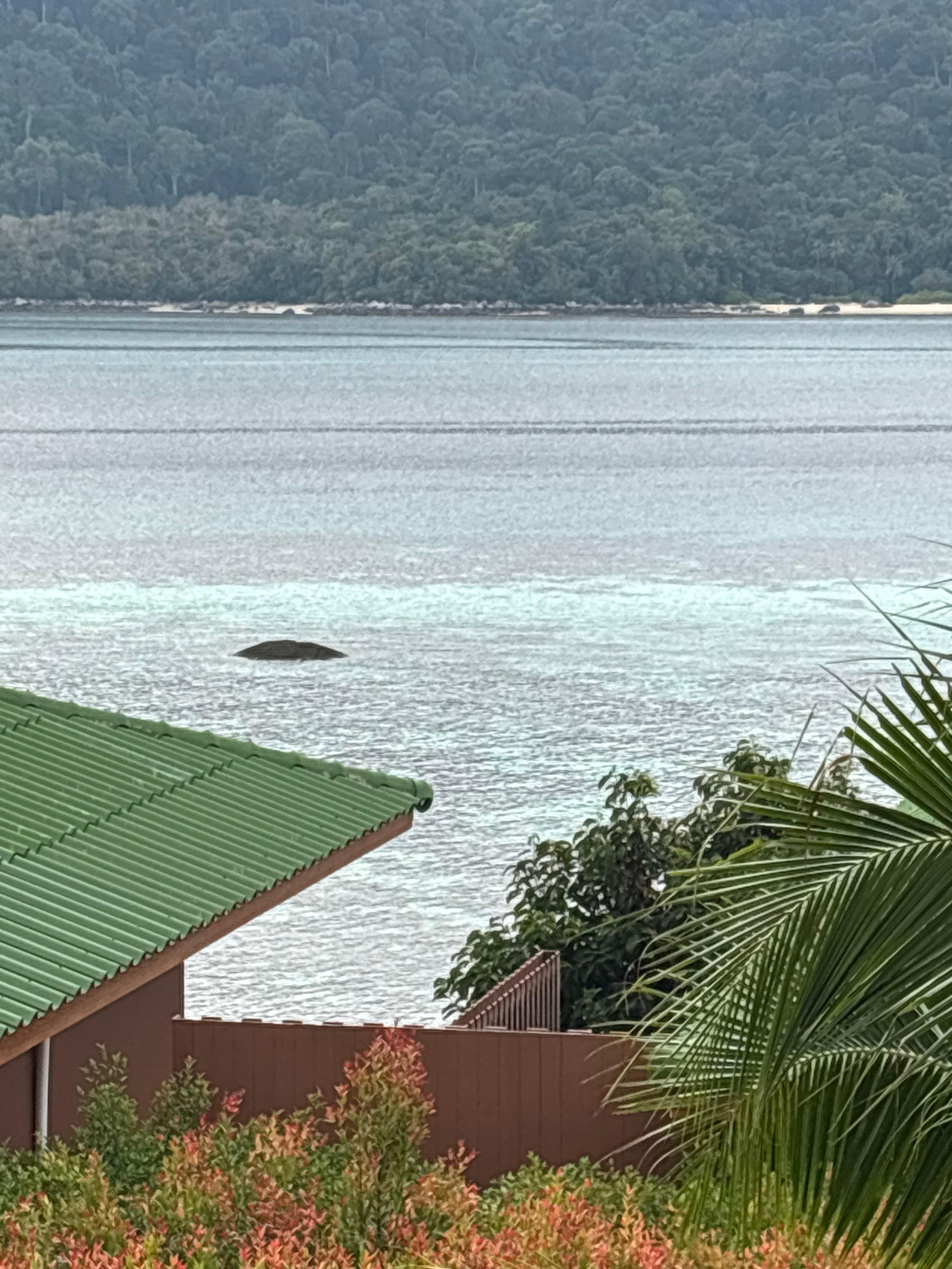 Utsikt från bungalow nr 31.