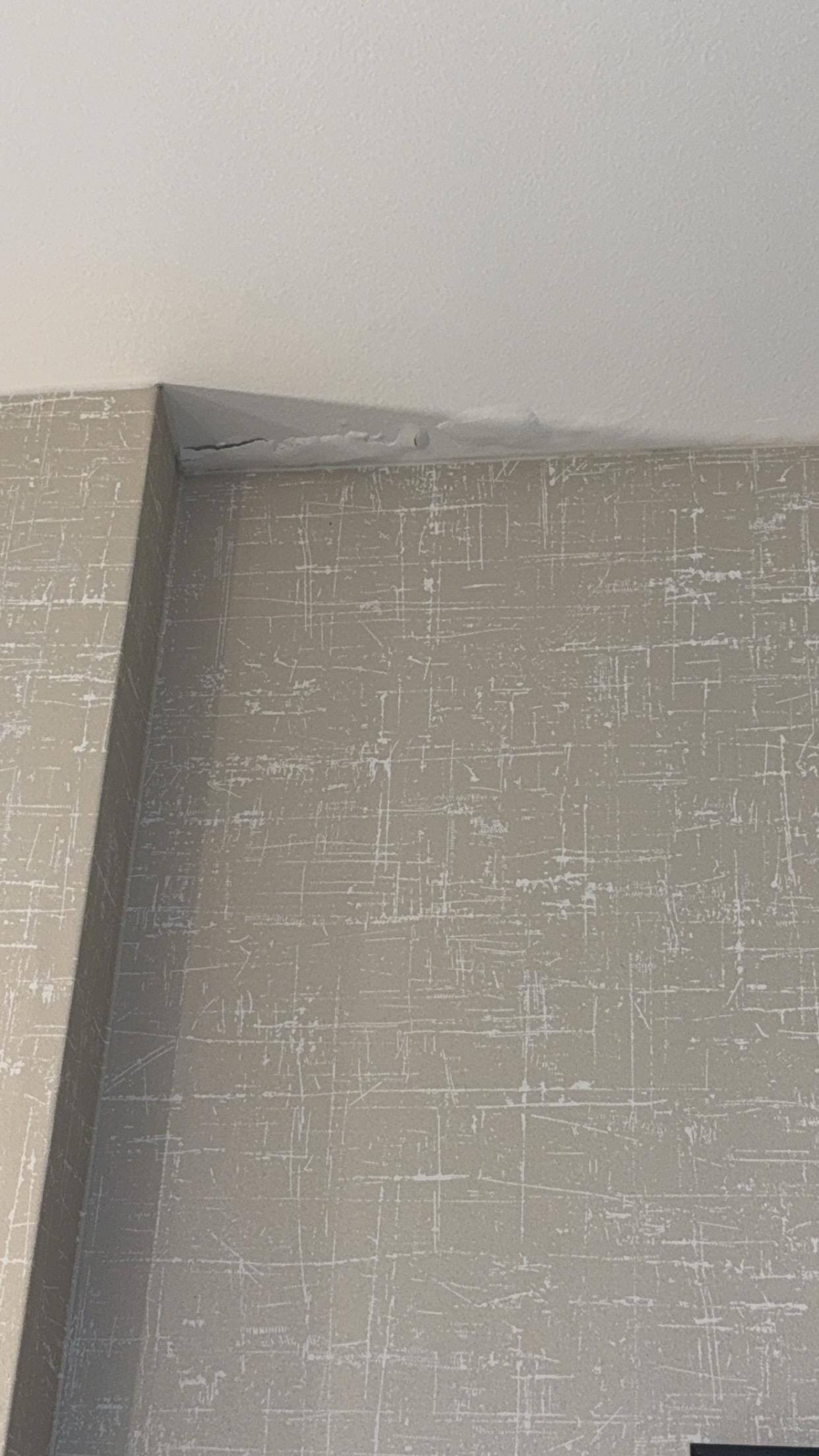 Cracks in the ceiling with mold smell