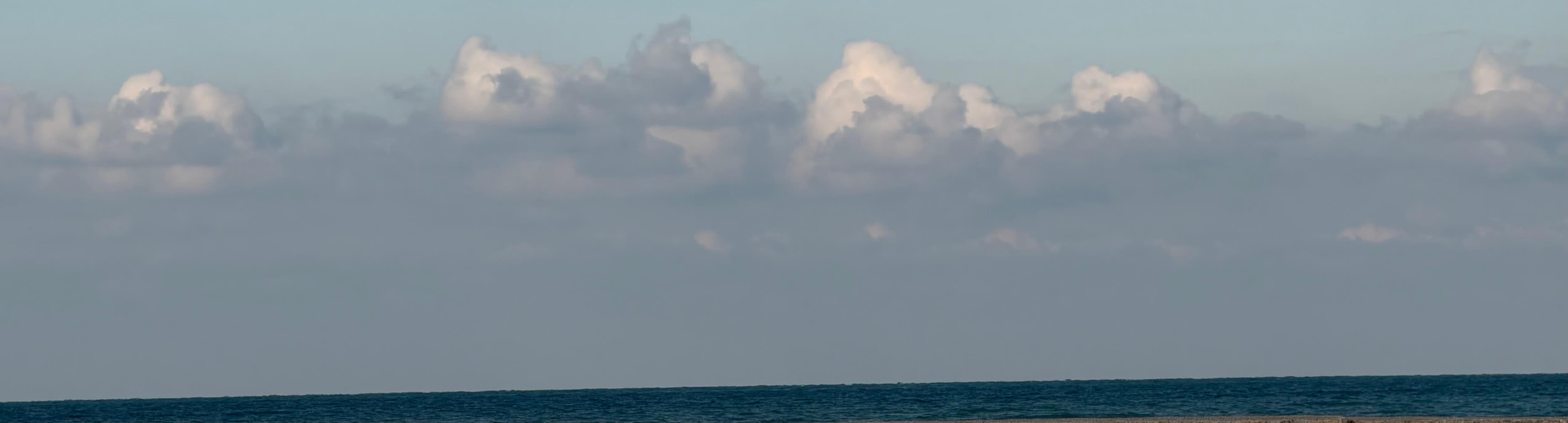 Lake M Hogan from Blue Chip