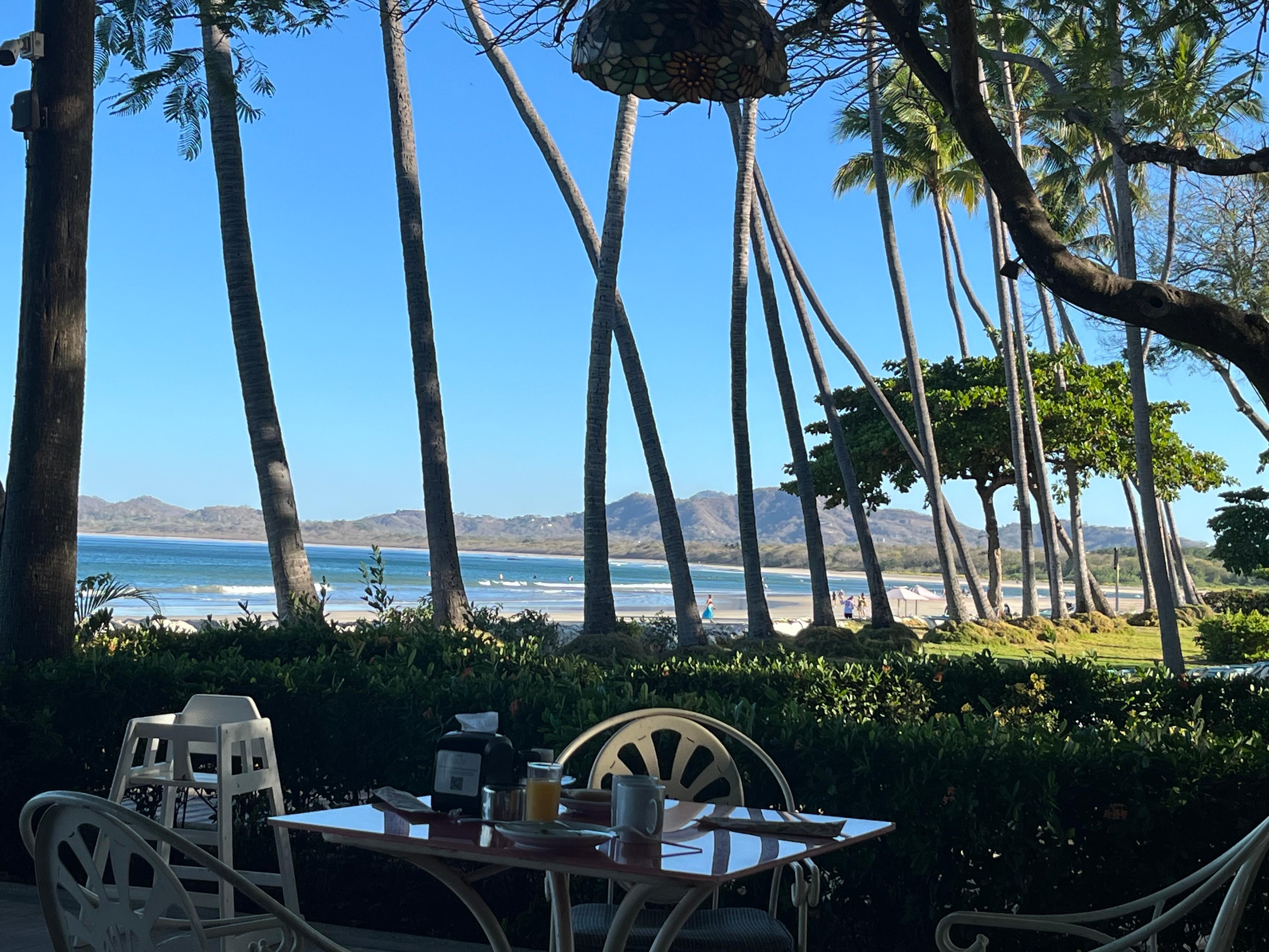 Grounds in the morning 