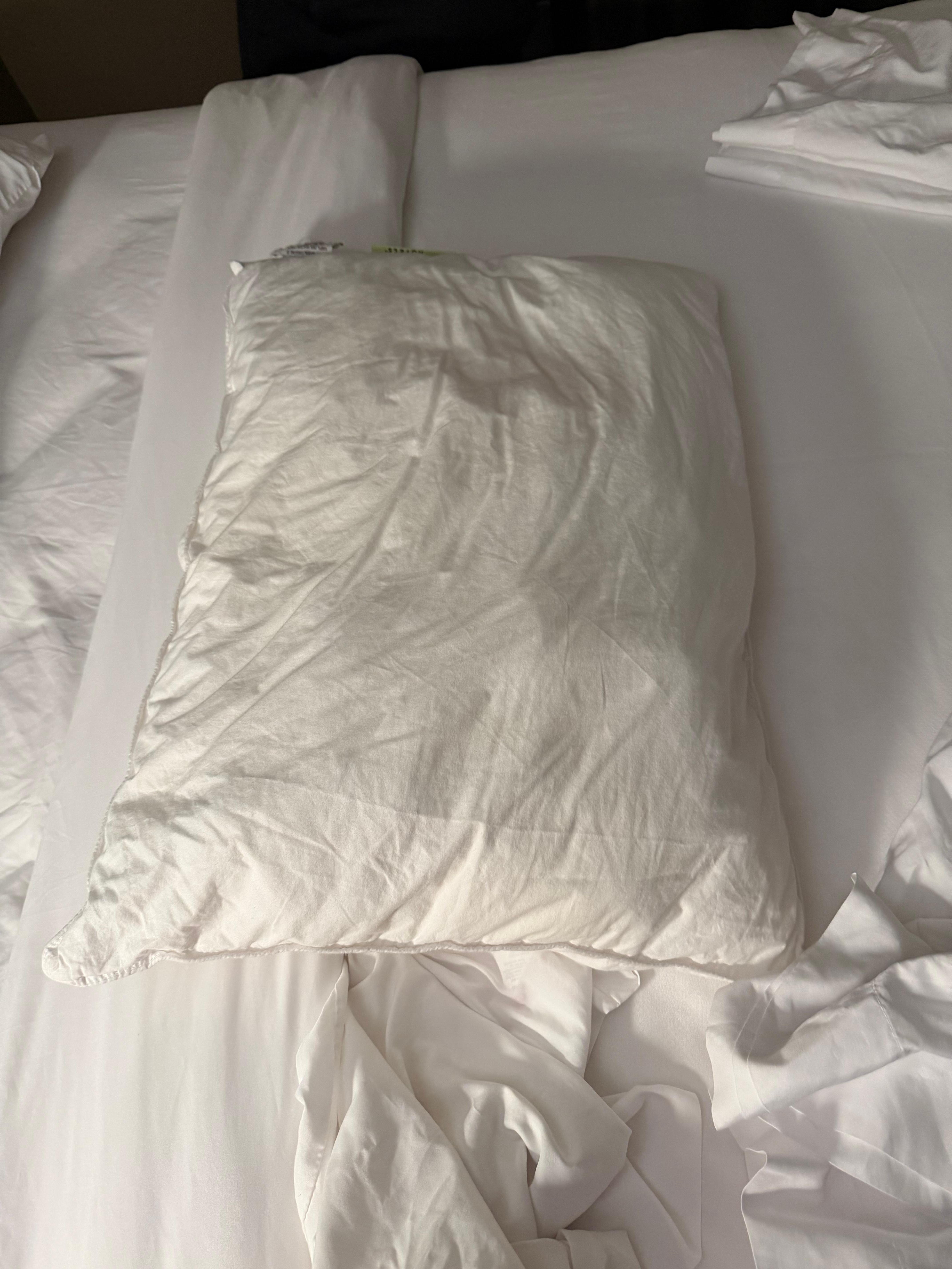 Pillow with no pillow cases