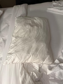 Pillow with no pillow cases
