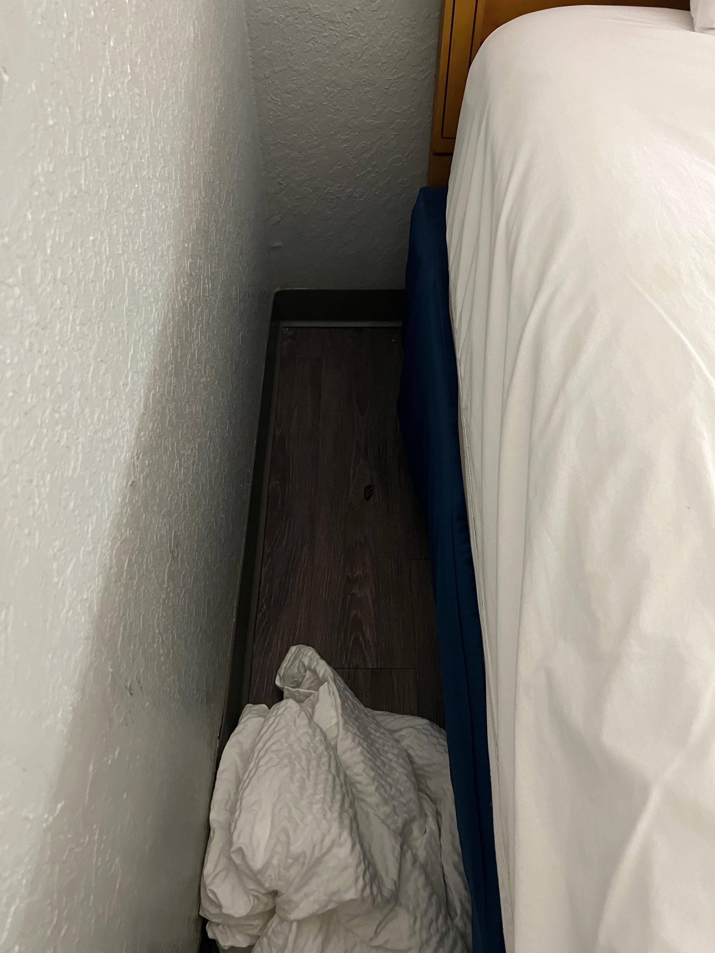 That is the roach on the floor - I wasn’t getting any closer. 