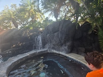 Hot tub near waterfall!