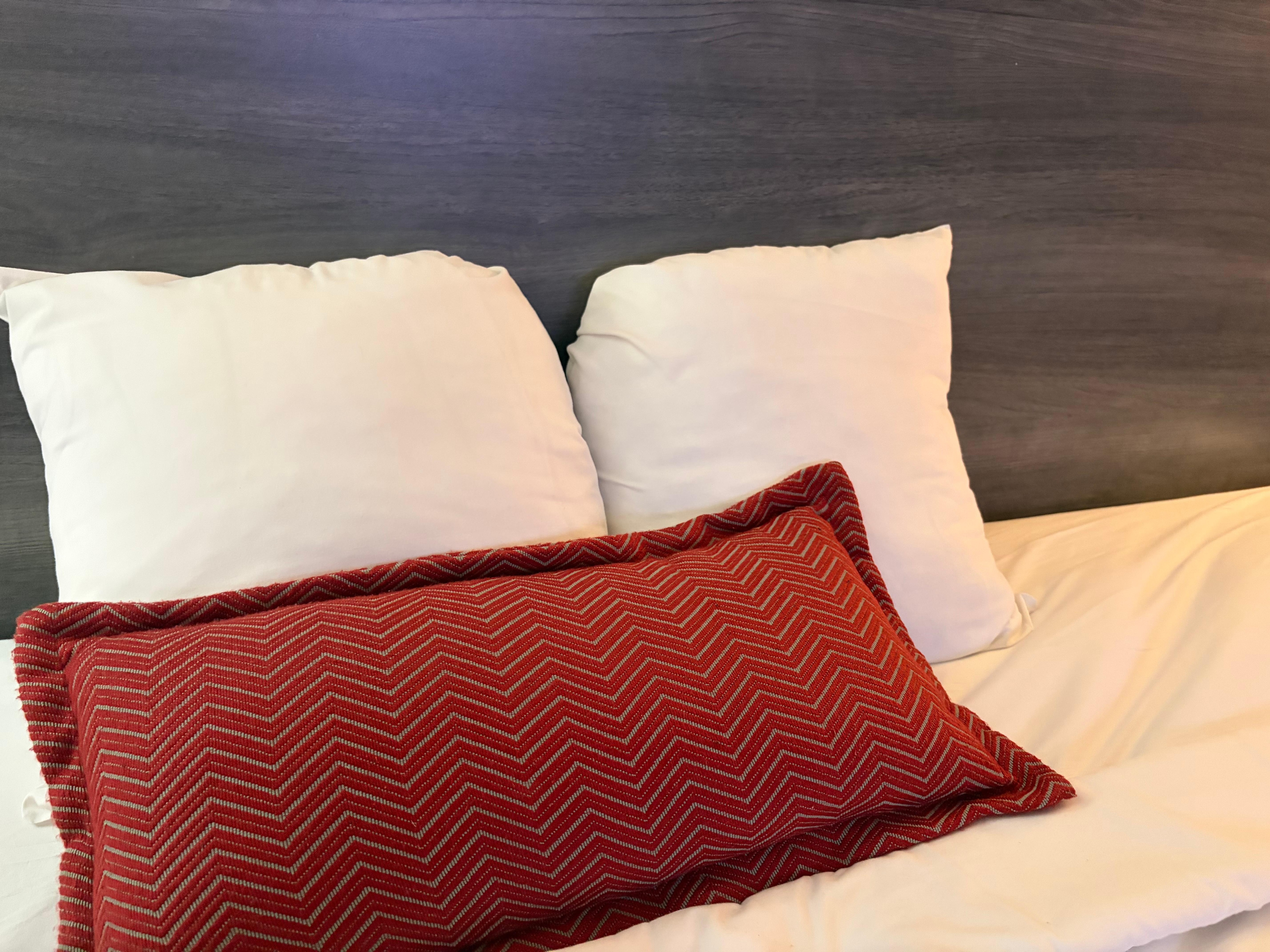 Small accent pillows that smelled musty