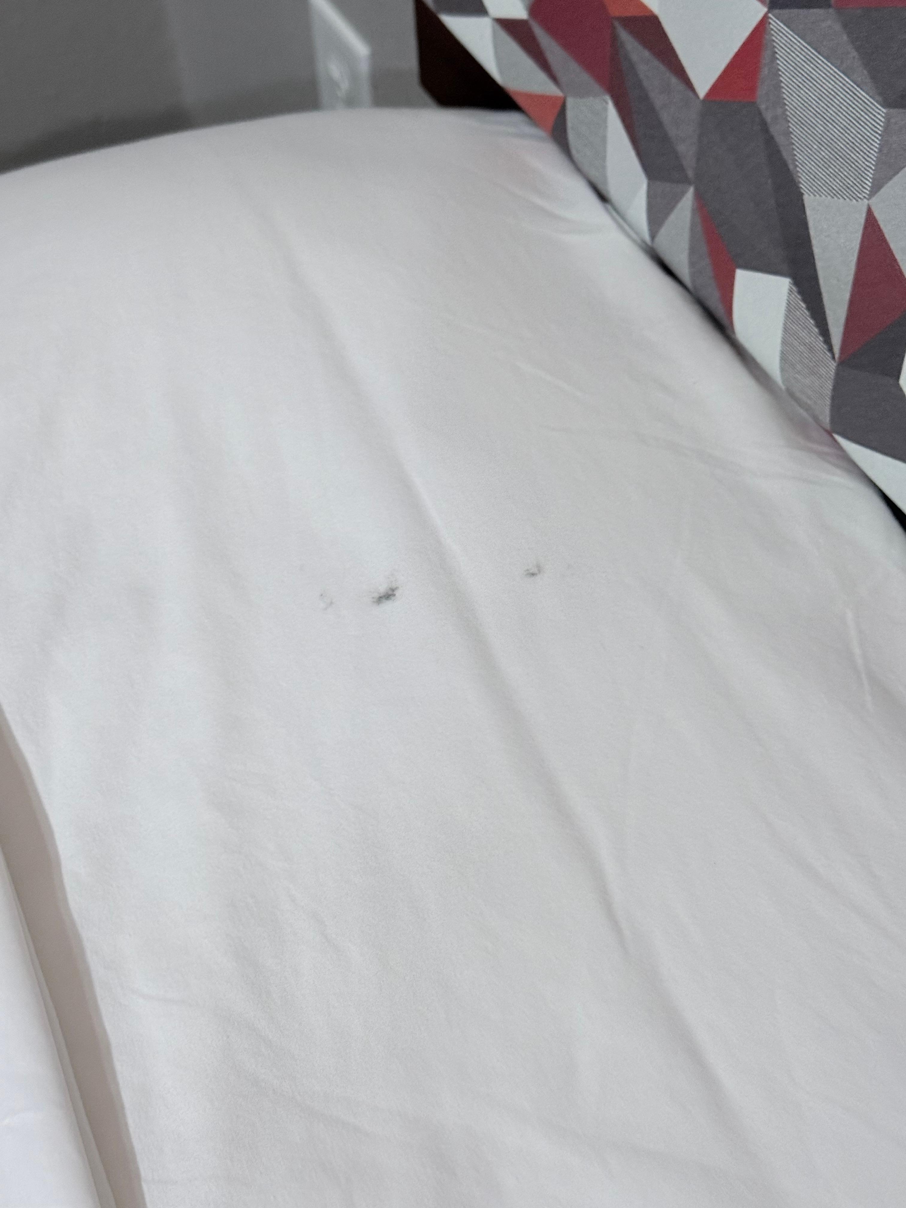 bedding