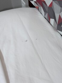 bedding