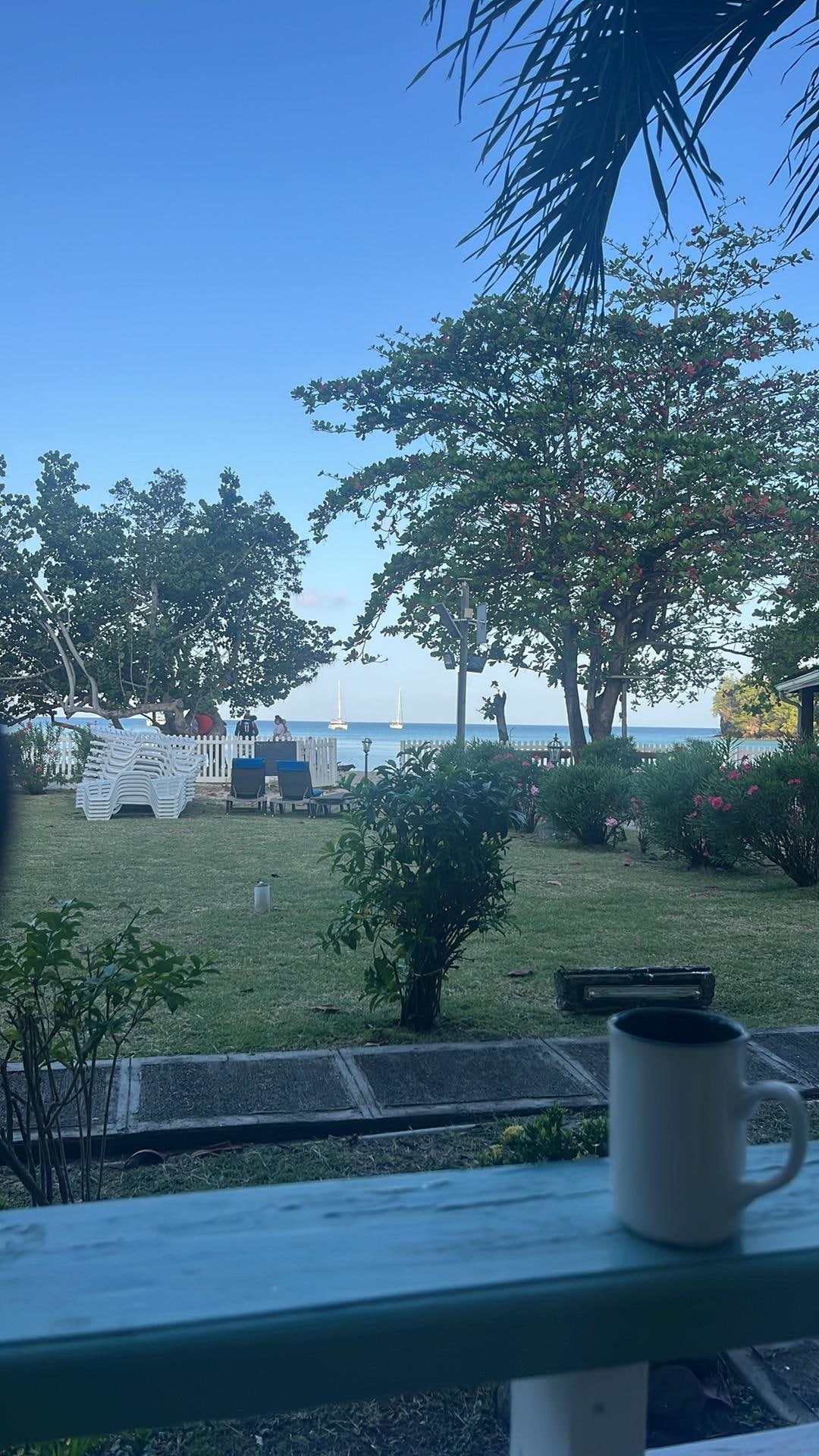 View from room - ground level 