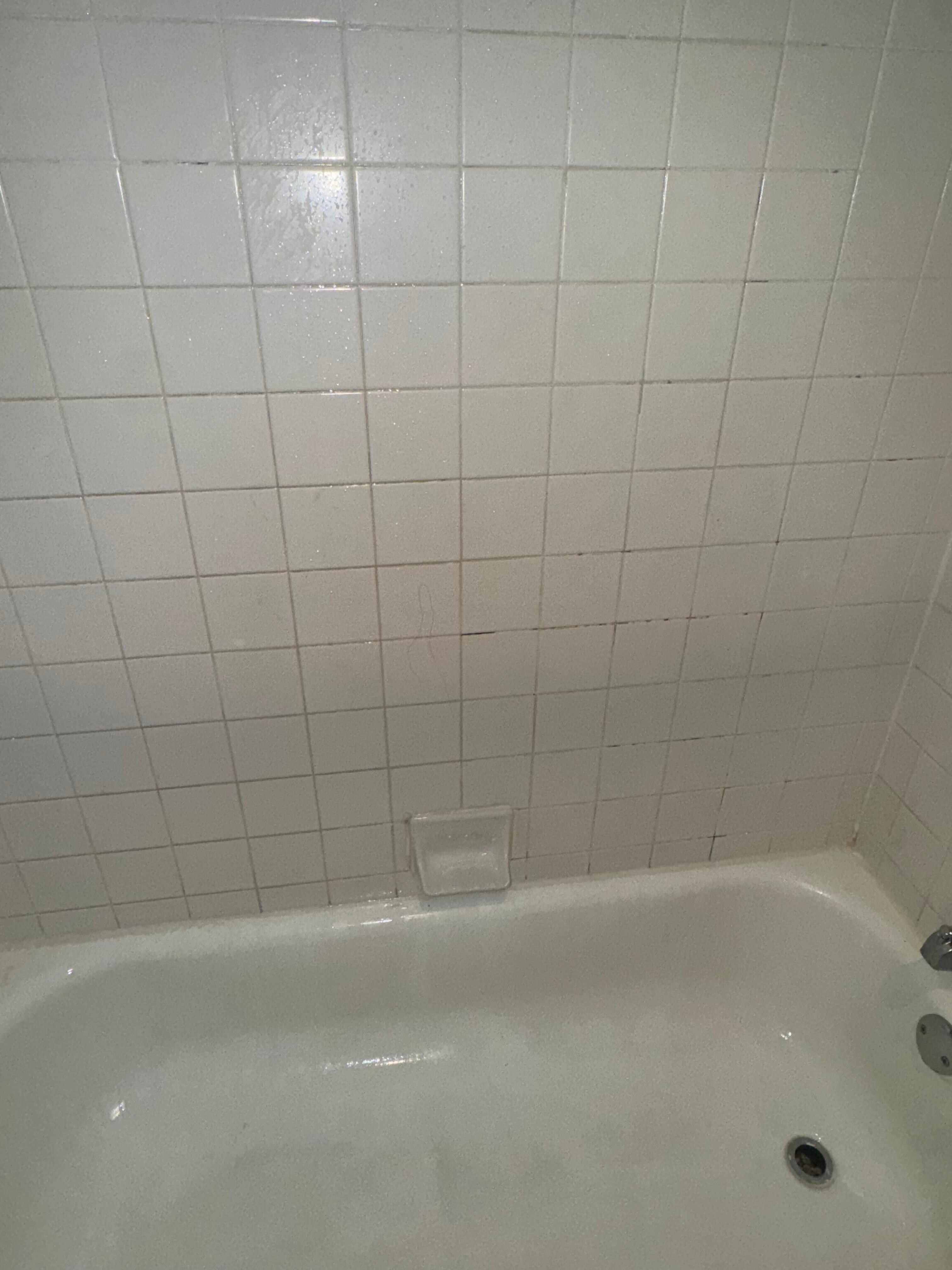 Hair all on shower wall from previous person. 