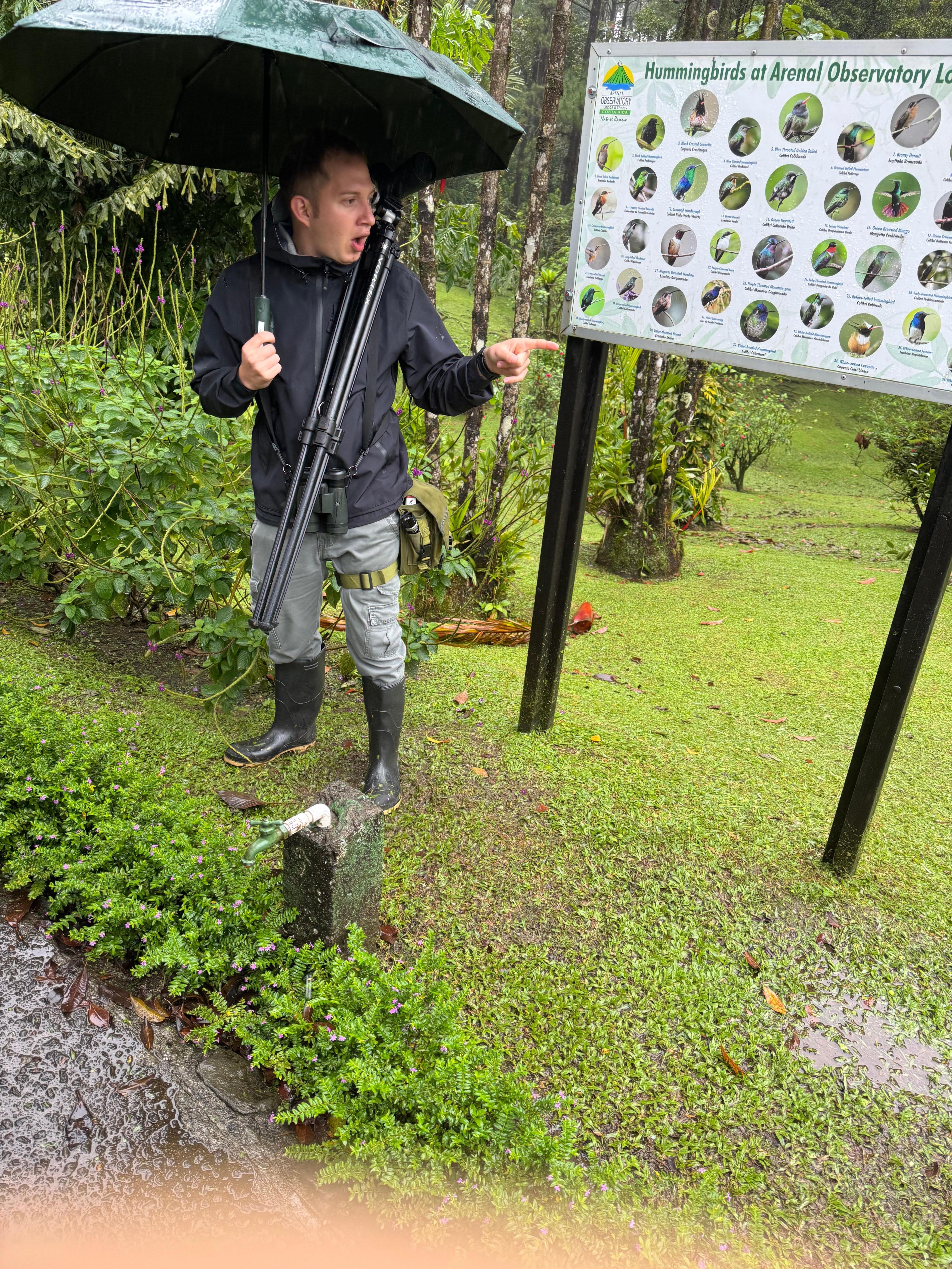 Complementary nature and property walk