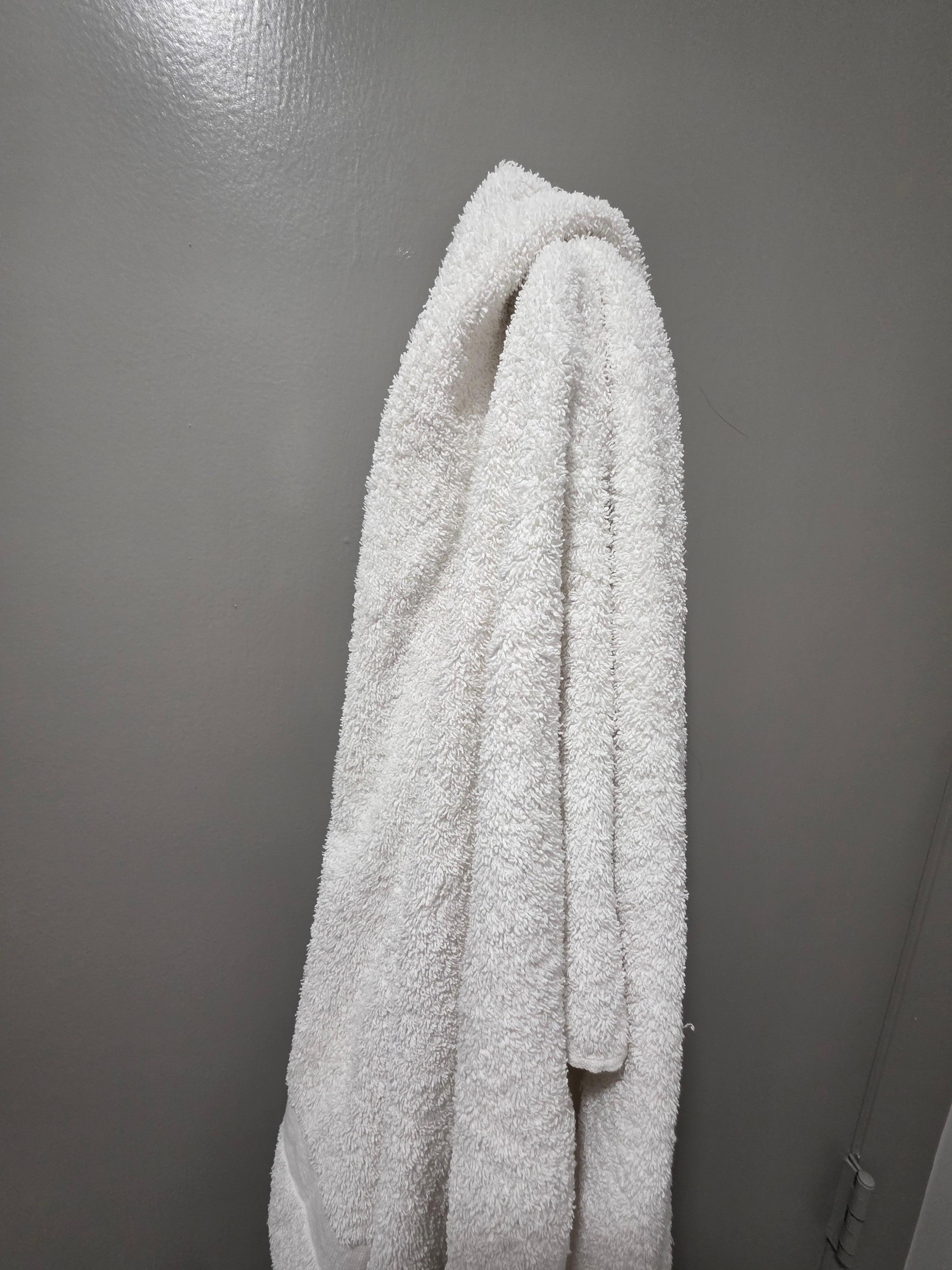 Dirty towel left behind door