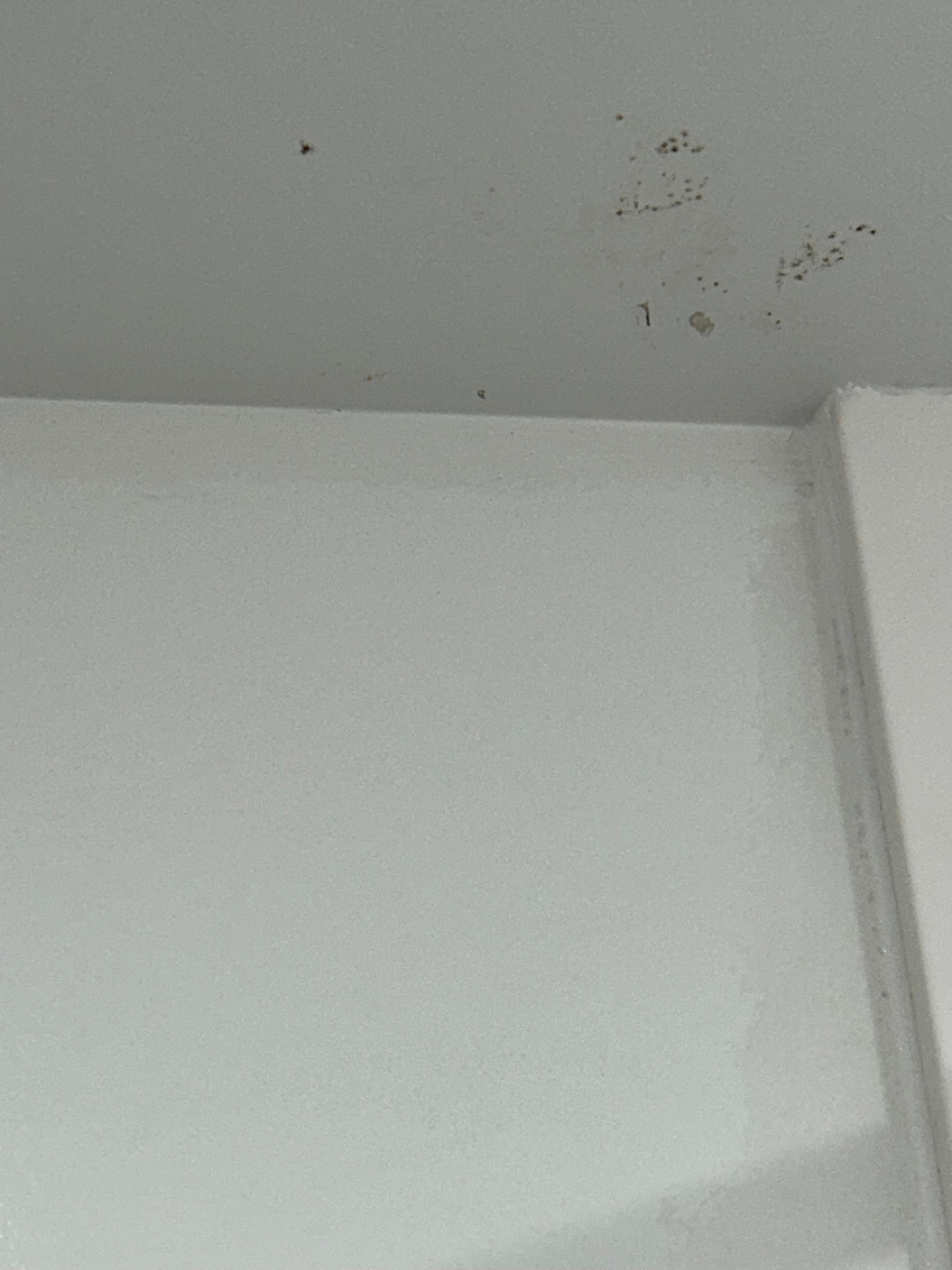 Mold