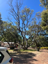 The view from the veranda.