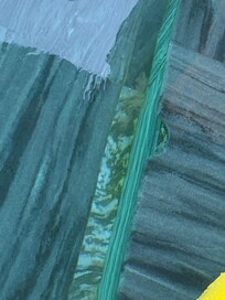 Green algae on pool wall and steps
