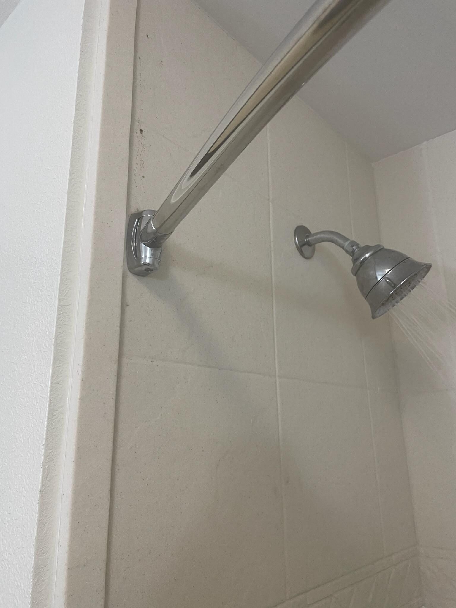 Mold/Dirty Shower