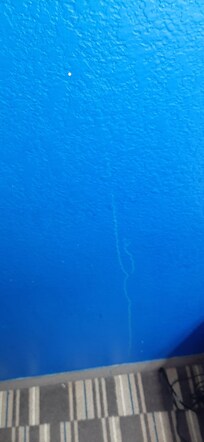 Probably urine stains on wall.