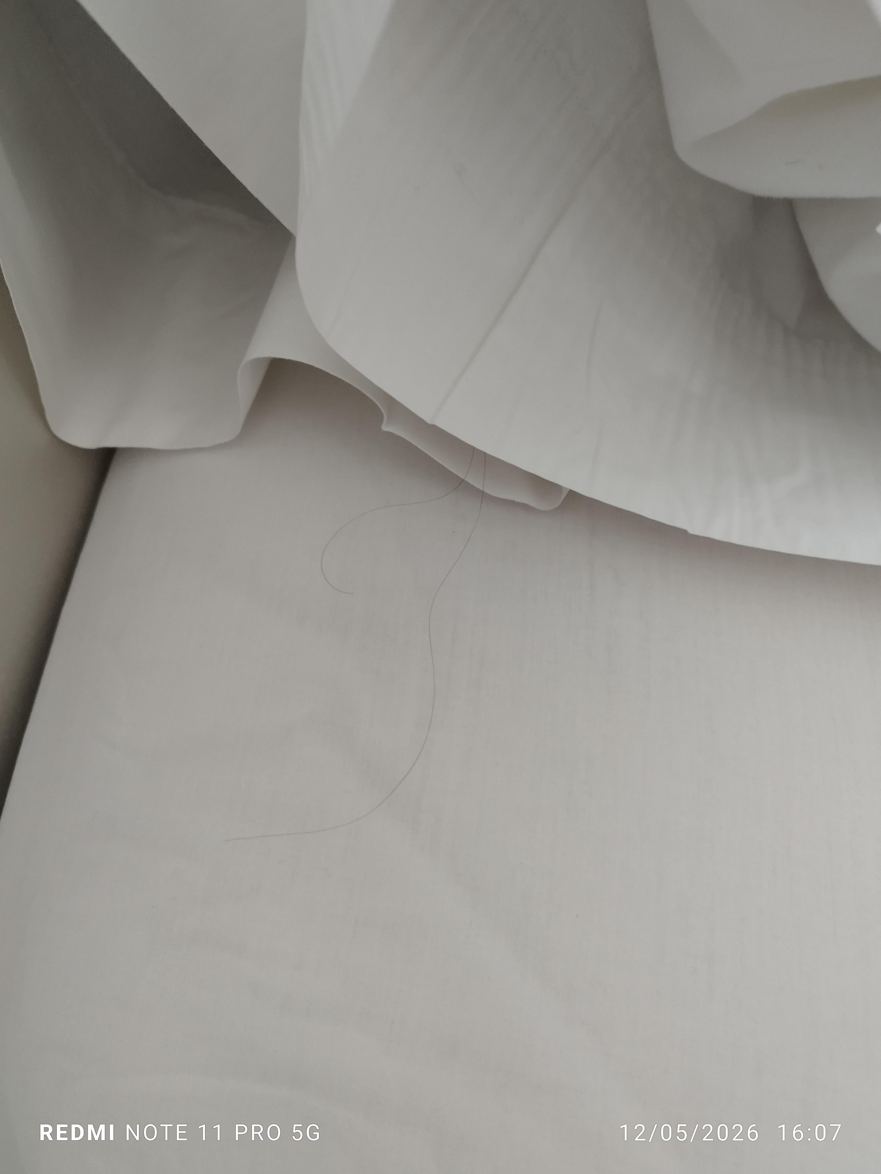 Había un cabello en la almohada cuando llegamos.