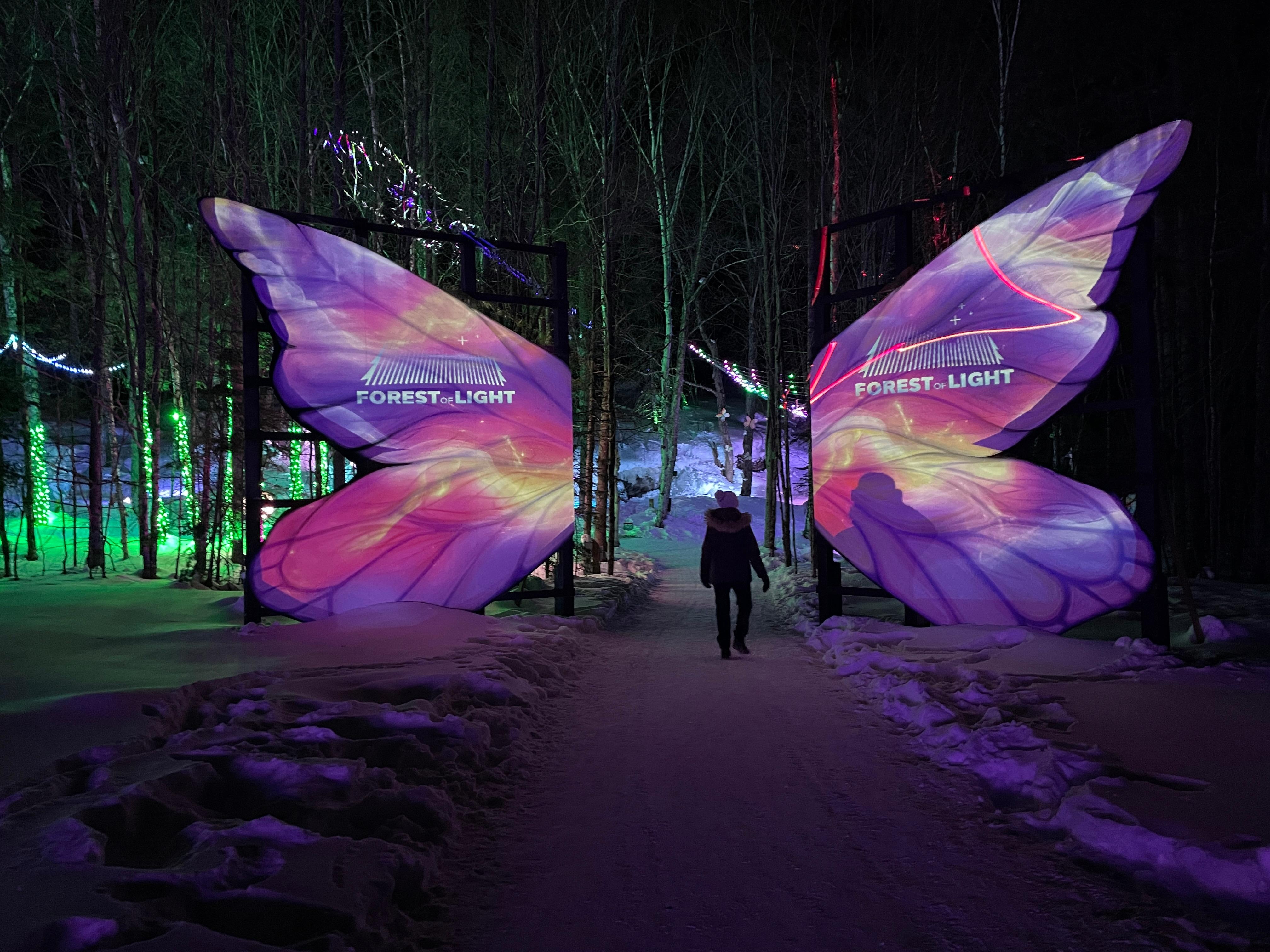 Nearby forest of light exhibit 