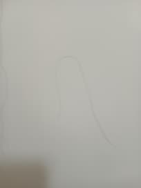 Long black hairs all over the shower wall