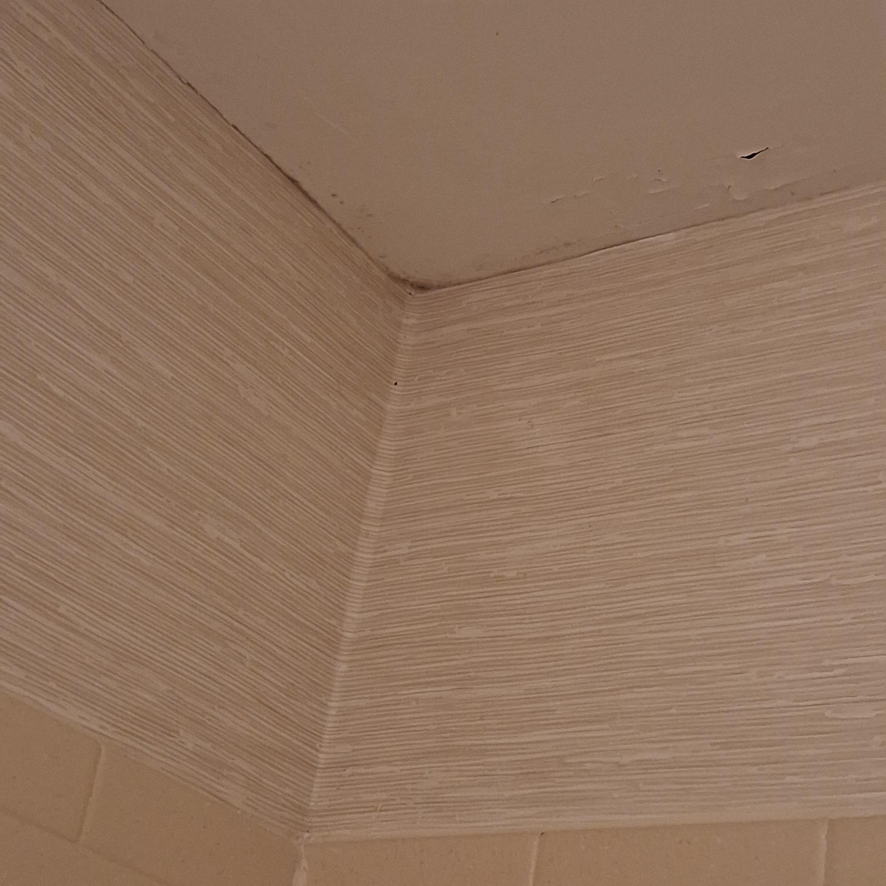 Mold in shower