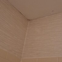 Mold in shower