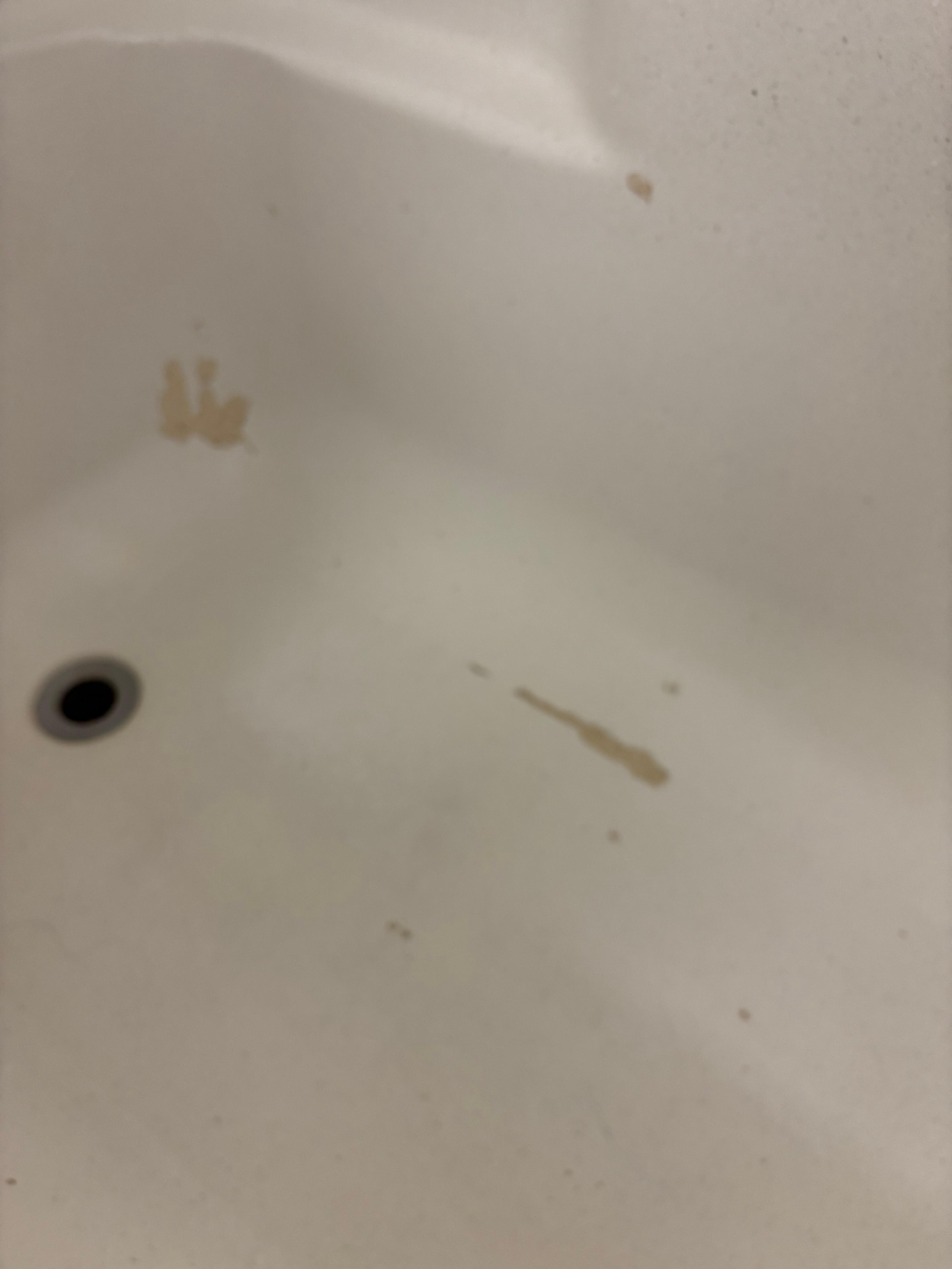 No plug and chipped