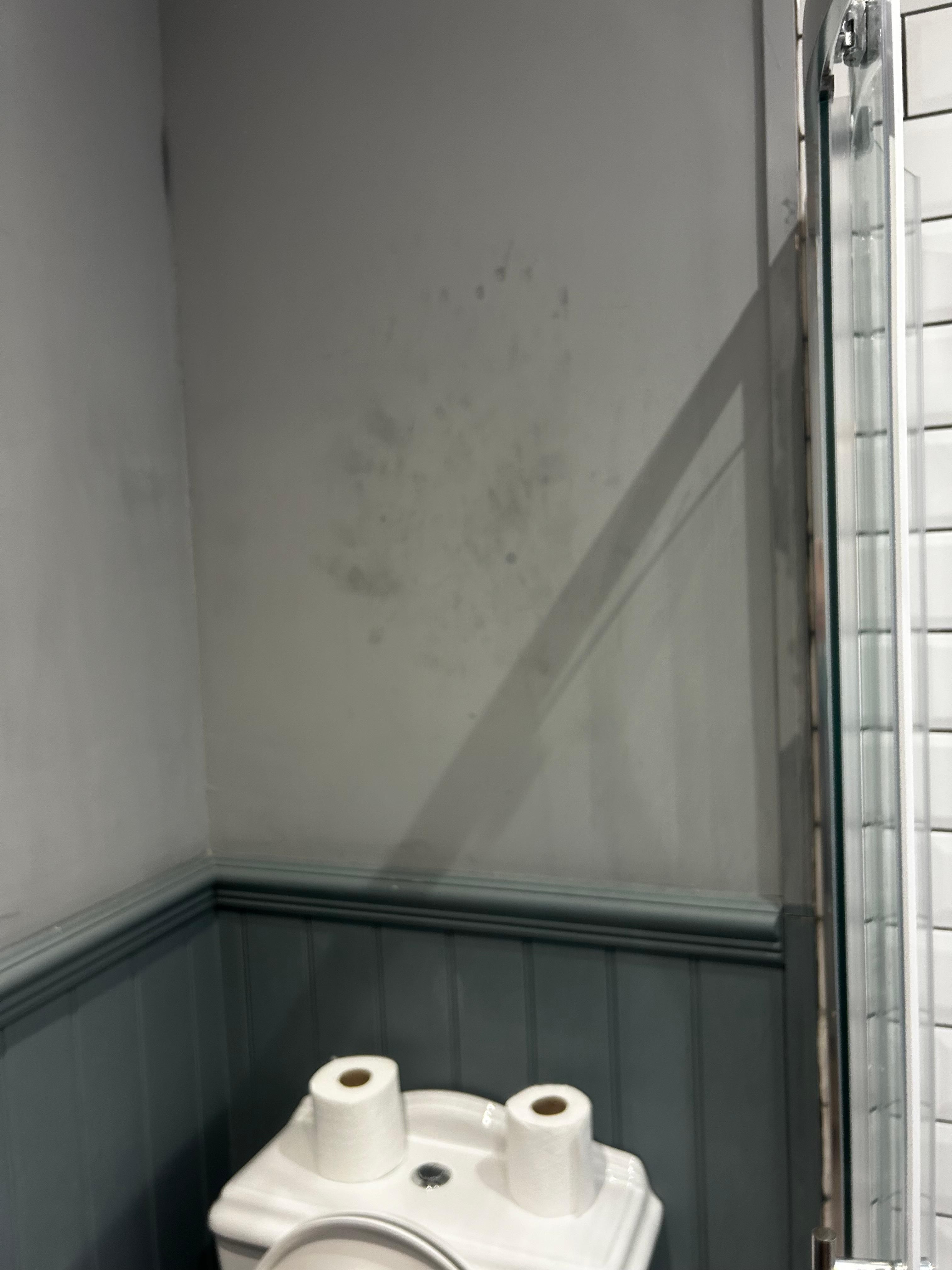 Dirty hand prints on wall above toilet
