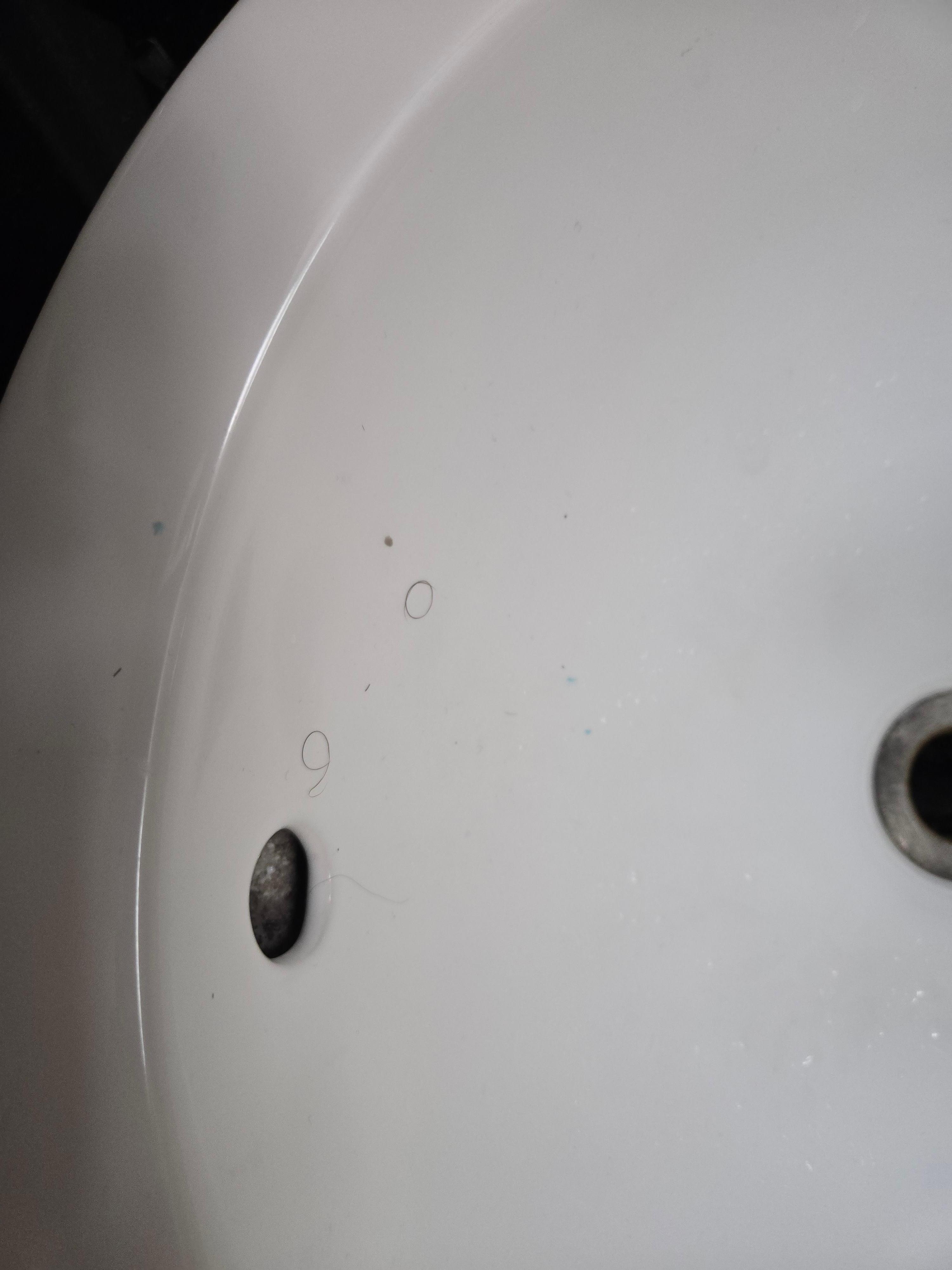 Pubic or beard hairs