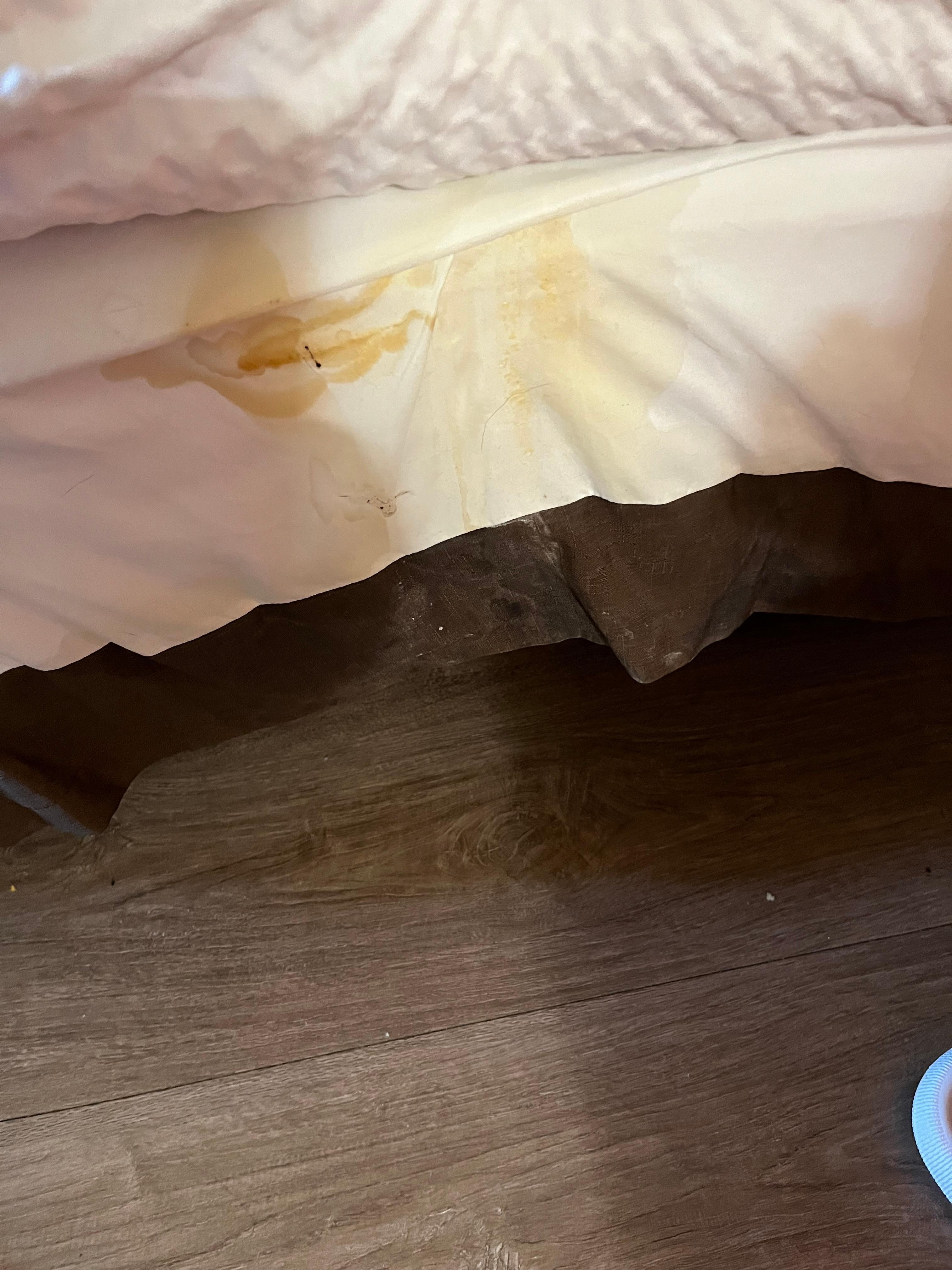 Dirty bedding